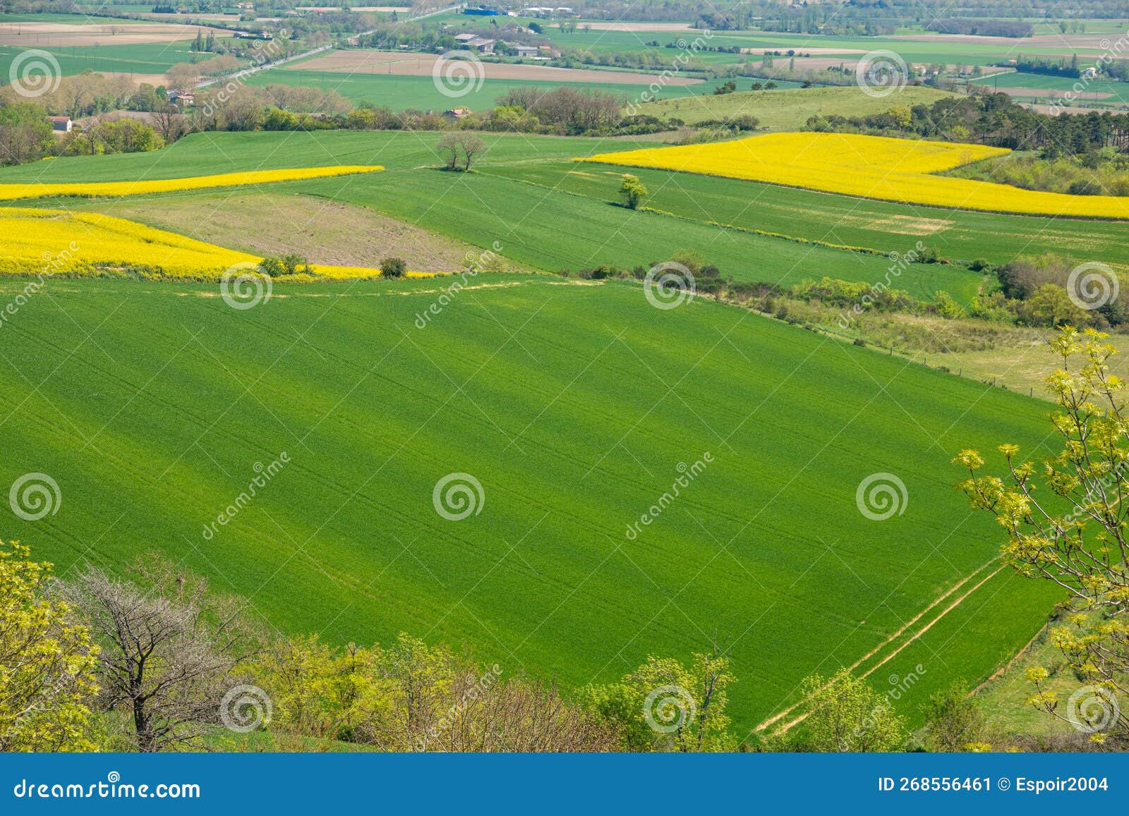 Beautiful Agricultural Fields Stock Image - Image of beautiful, rural ...