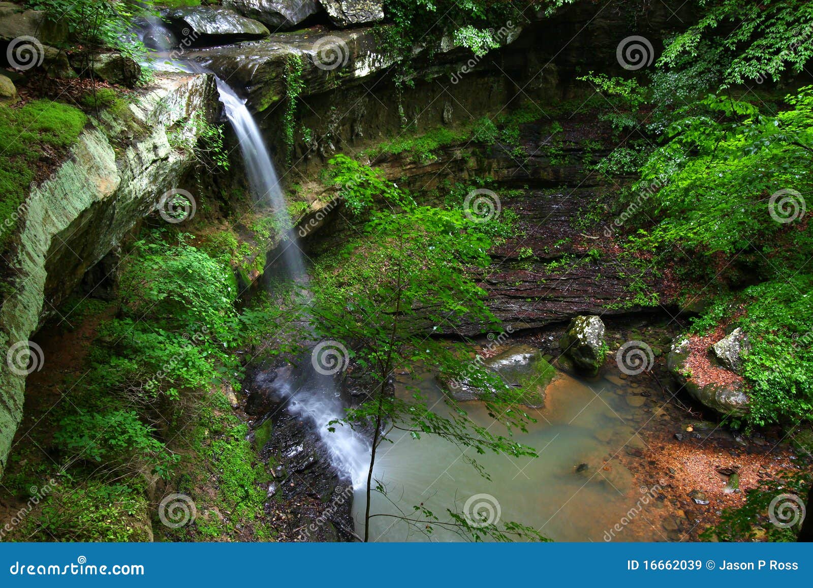 Beautiful Alabama Scenery stock image. Image of states - 16662039