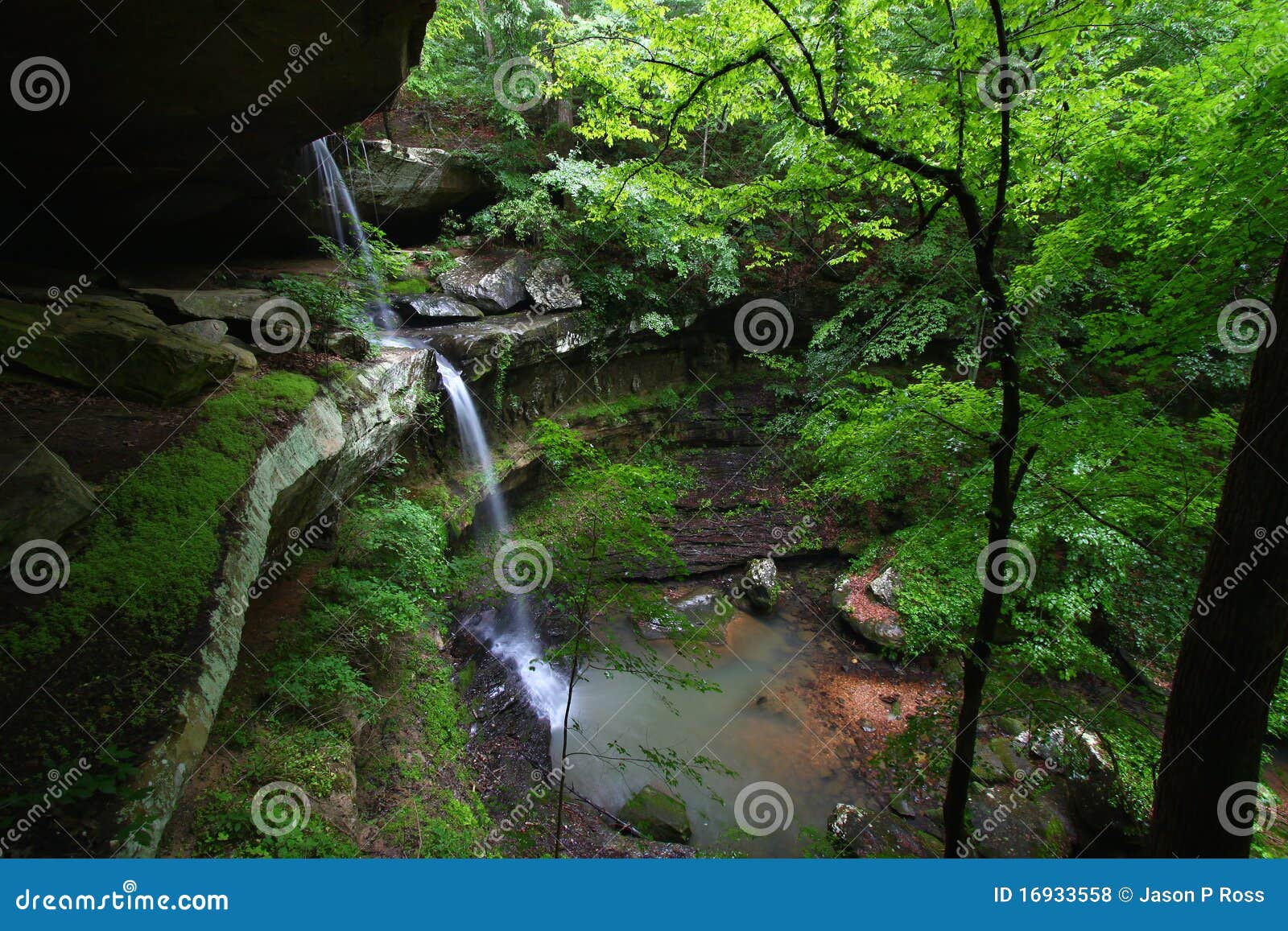 Beautiful Alabama Scenery stock photo. Image of alabama - 16933558