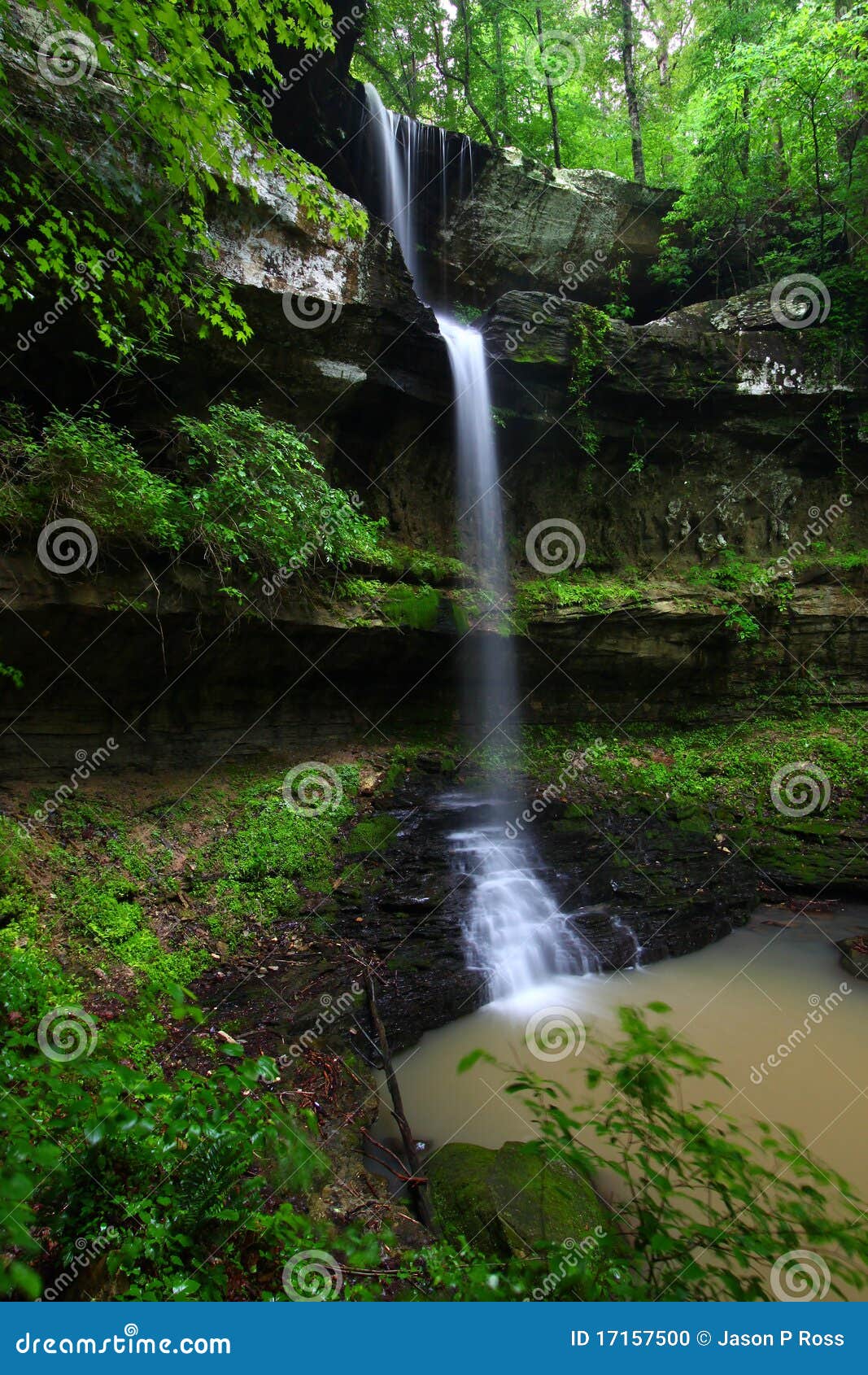 Beautiful Alabama Scenery stock photo. Image of pretty - 17157500