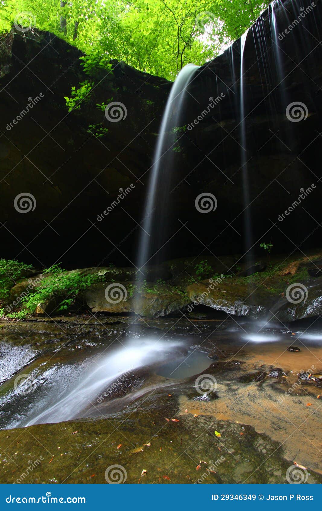 Beautiful Alabama Scenery stock image. Image of ecosystem - 29346349