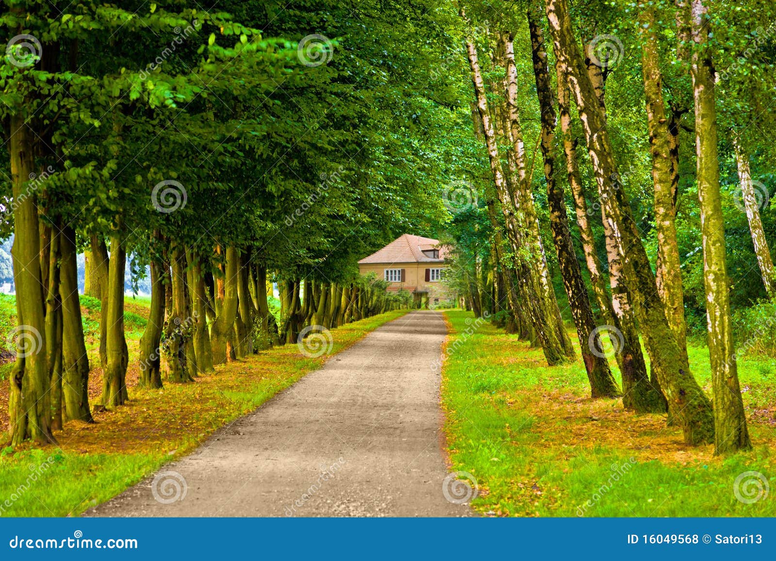 Beautiful alley stock photo. Image of beauty, landscape - 16049568