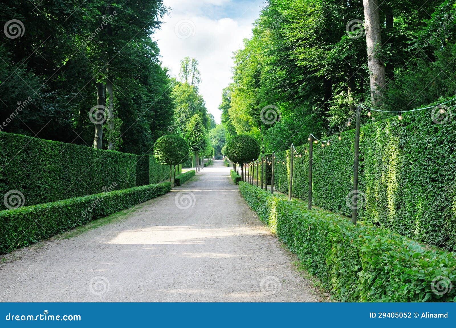 Beautiful alley stock photo. Image of avenue, estate - 29405052