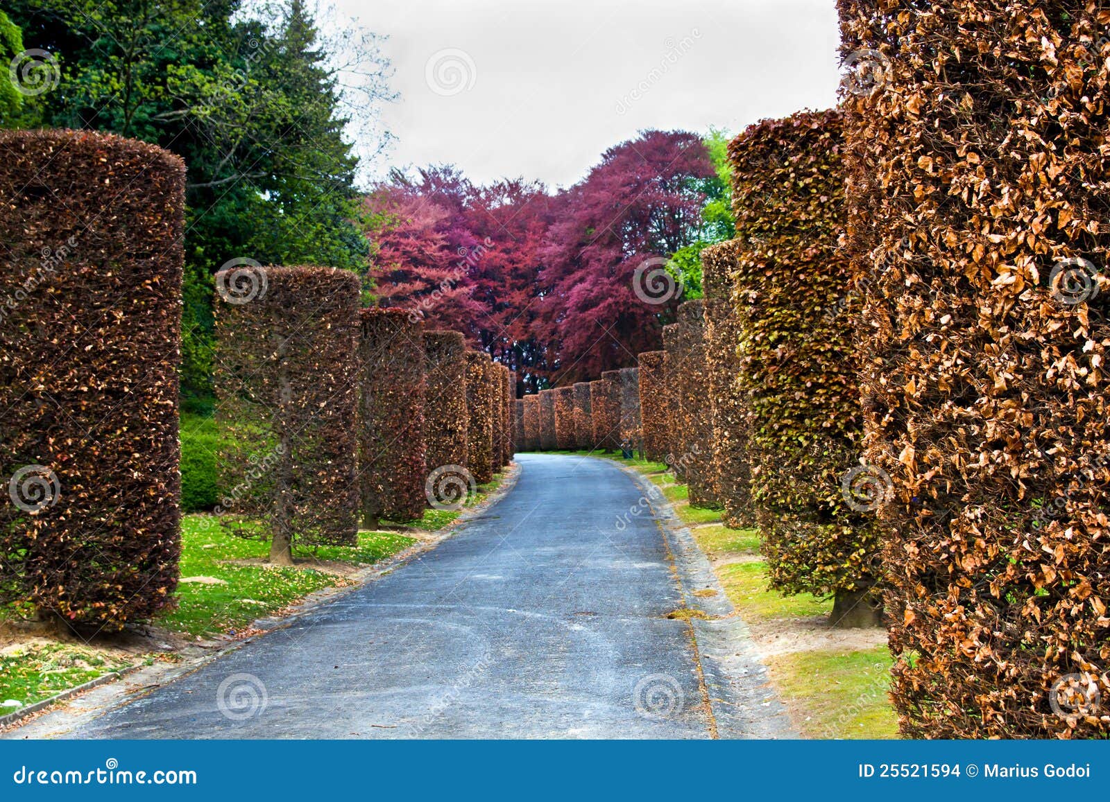 Beautiful Alley of the Atomium Park Stock Photo - Image of asphalt ...