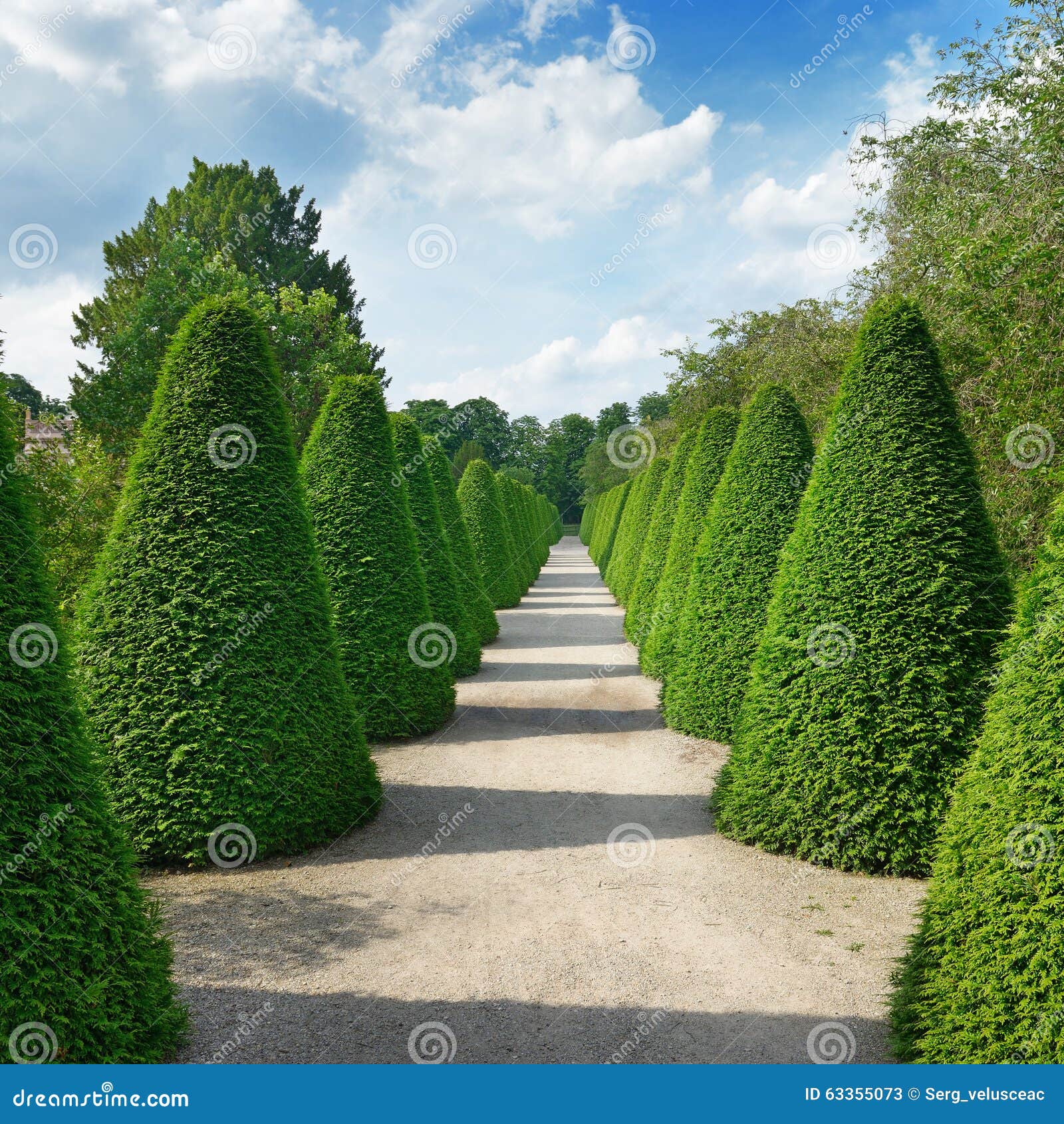 Beautiful alley stock image. Image of estate, avenue - 63355073