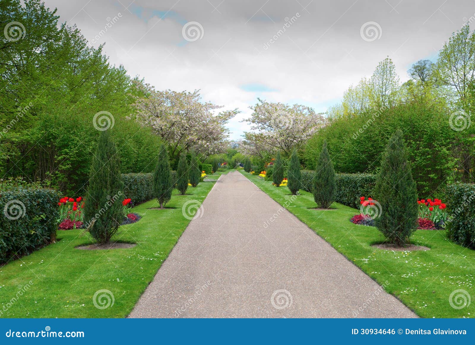 Beautiful Alley in the Park with Exotic Plants Stock Photo - Image of ...