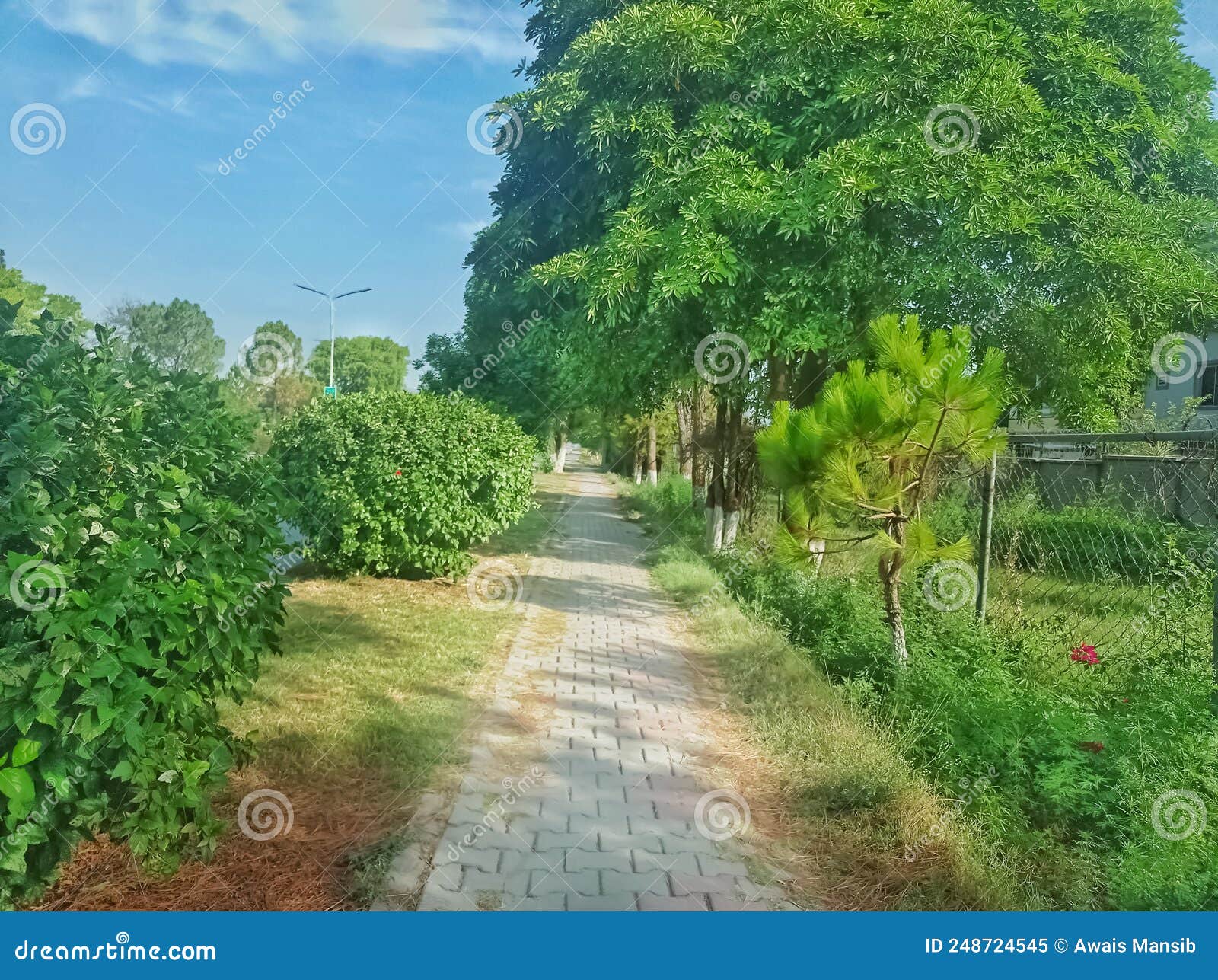 Beautiful Alone Road|Alone Pathway Stock Image - Image of road, alone ...