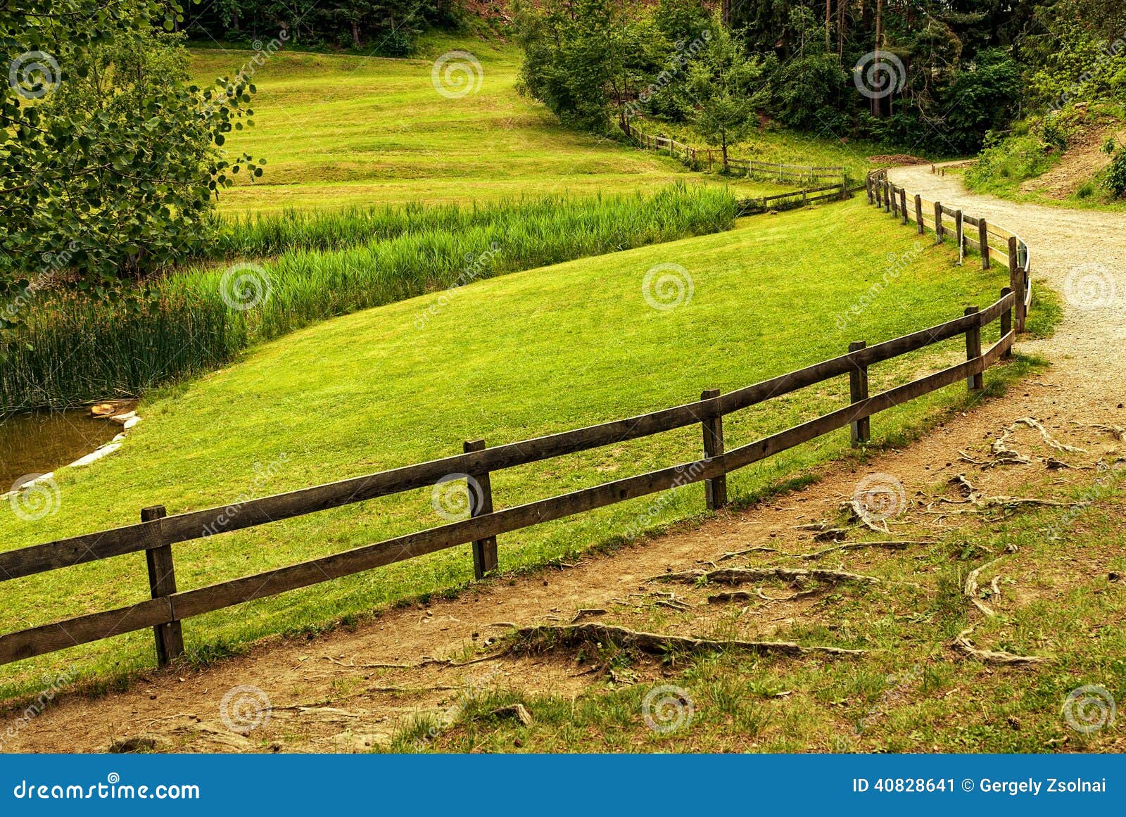 69,962 Beautiful Farm Road Photos - Free & Royalty-Free Stock Photos ...