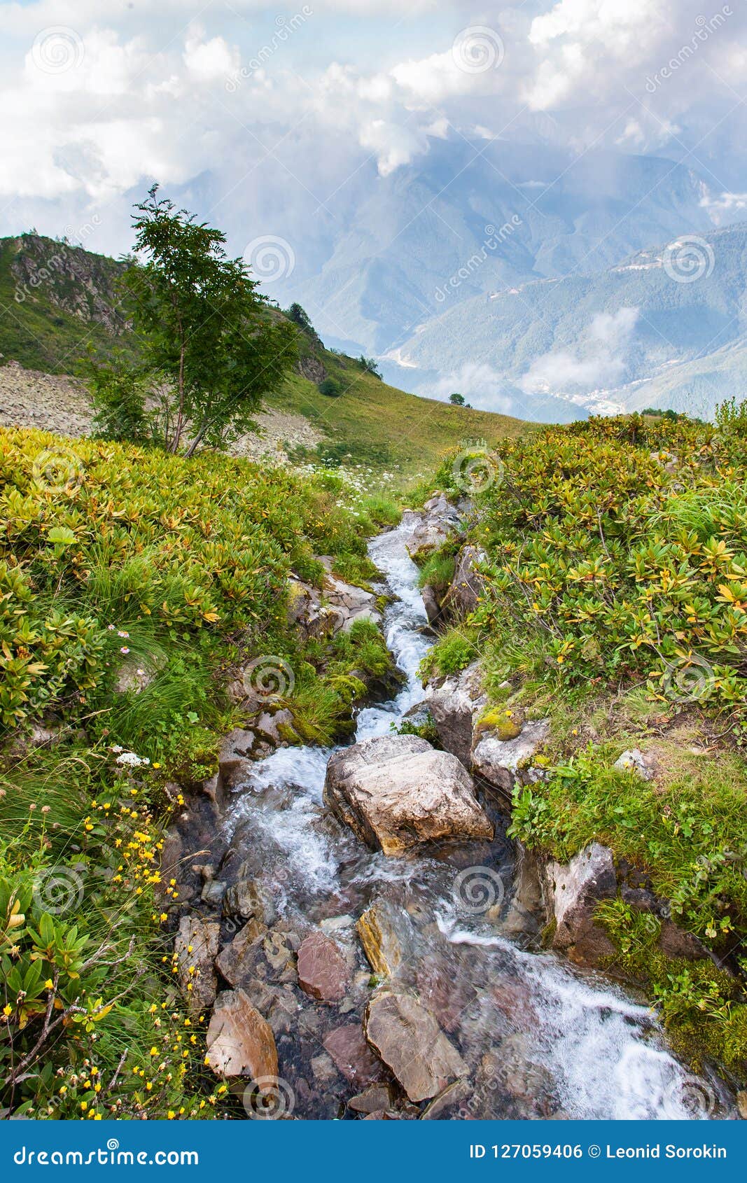 Beautiful Alpine Scenery with Waterfall, Waterfall in Alps Stock Photo ...