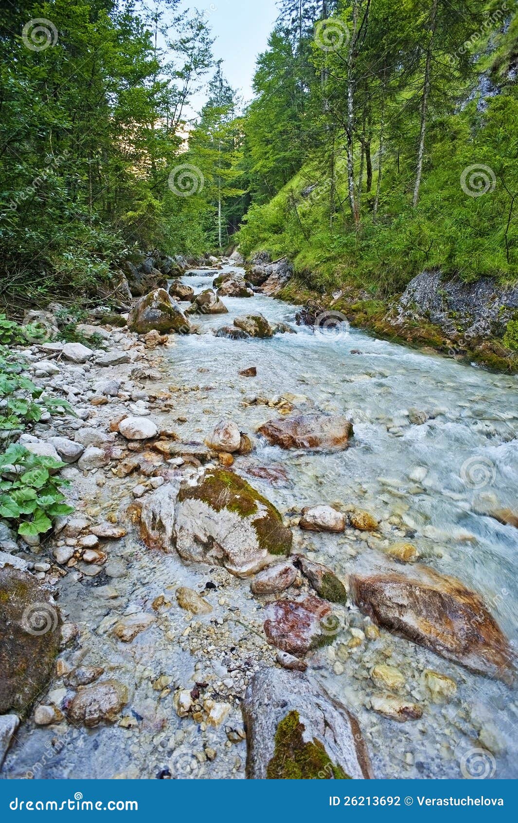 Beautiful Alps river stock photo. Image of destinations - 26213692