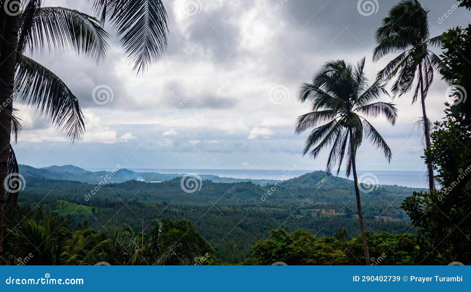 Beautiful and Amazing View of Green Trees Stock Image - Image of nature ...