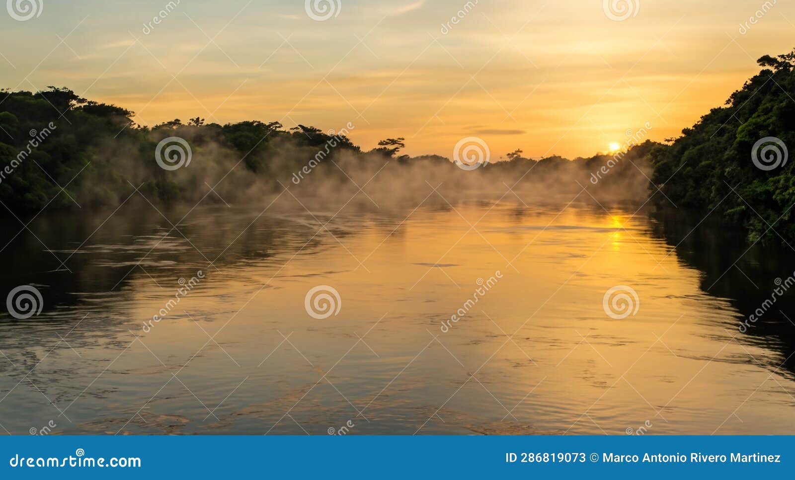 Beautiful Amazon River with Mist Stock Illustration - Illustration of ...