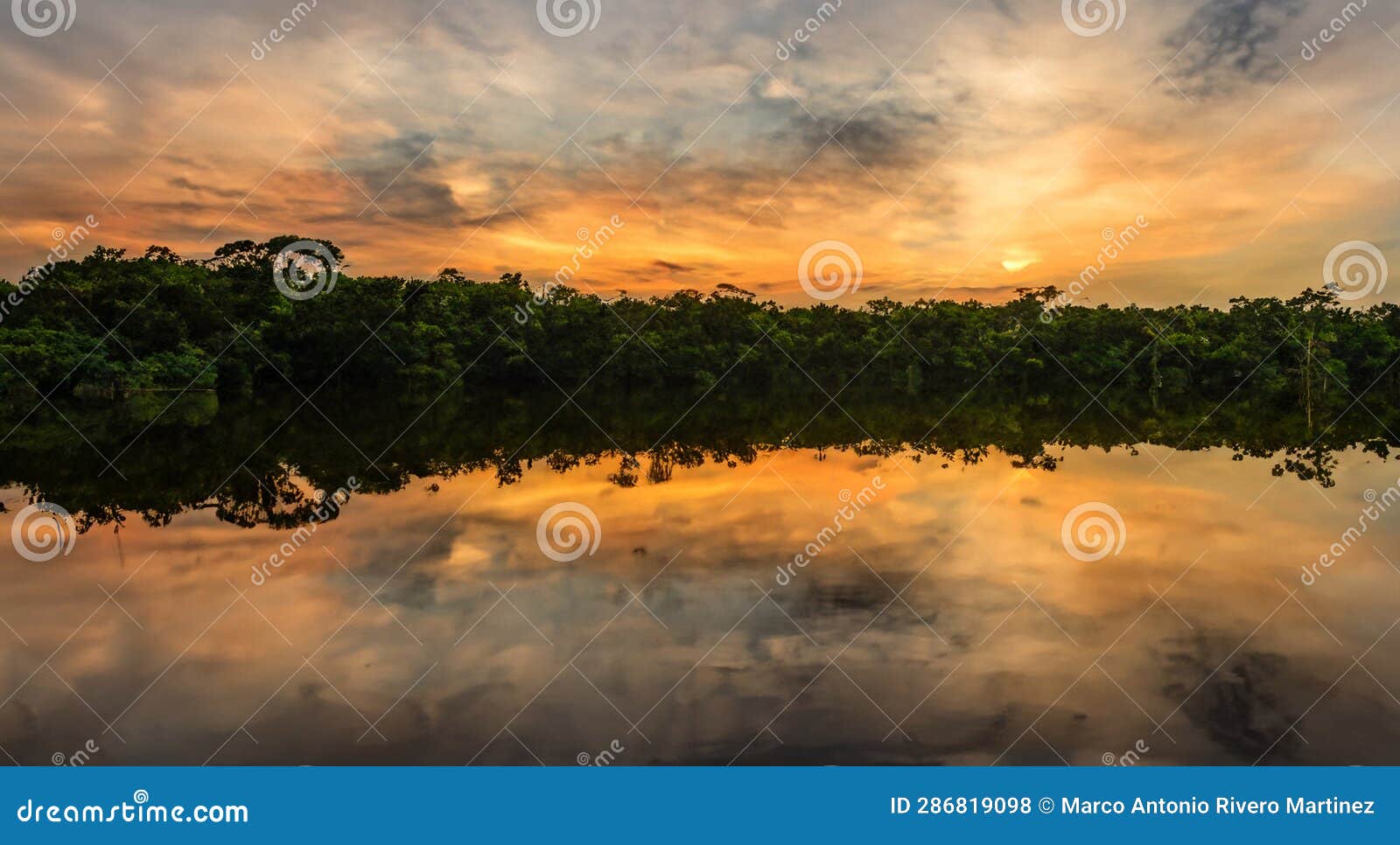 Beautiful Amazon River during a Perfect Sunrise in High Resolution and ...