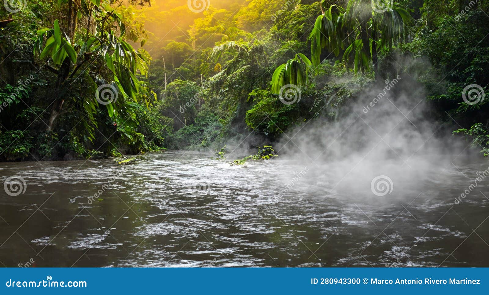 Beautiful Amazon River with a Sunbeam in the Background Stock ...