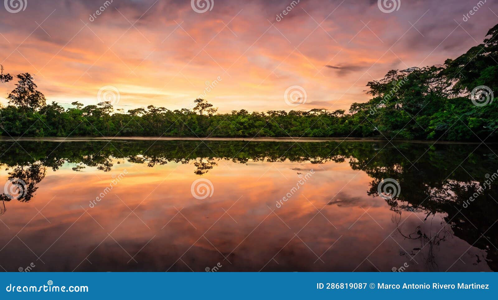 Beautiful Amazon River during a Sunrise Stock Illustration ...