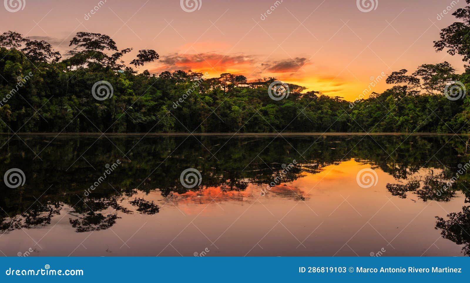 Beautiful Amazon River during a Sunset in High Resolution Stock Image ...