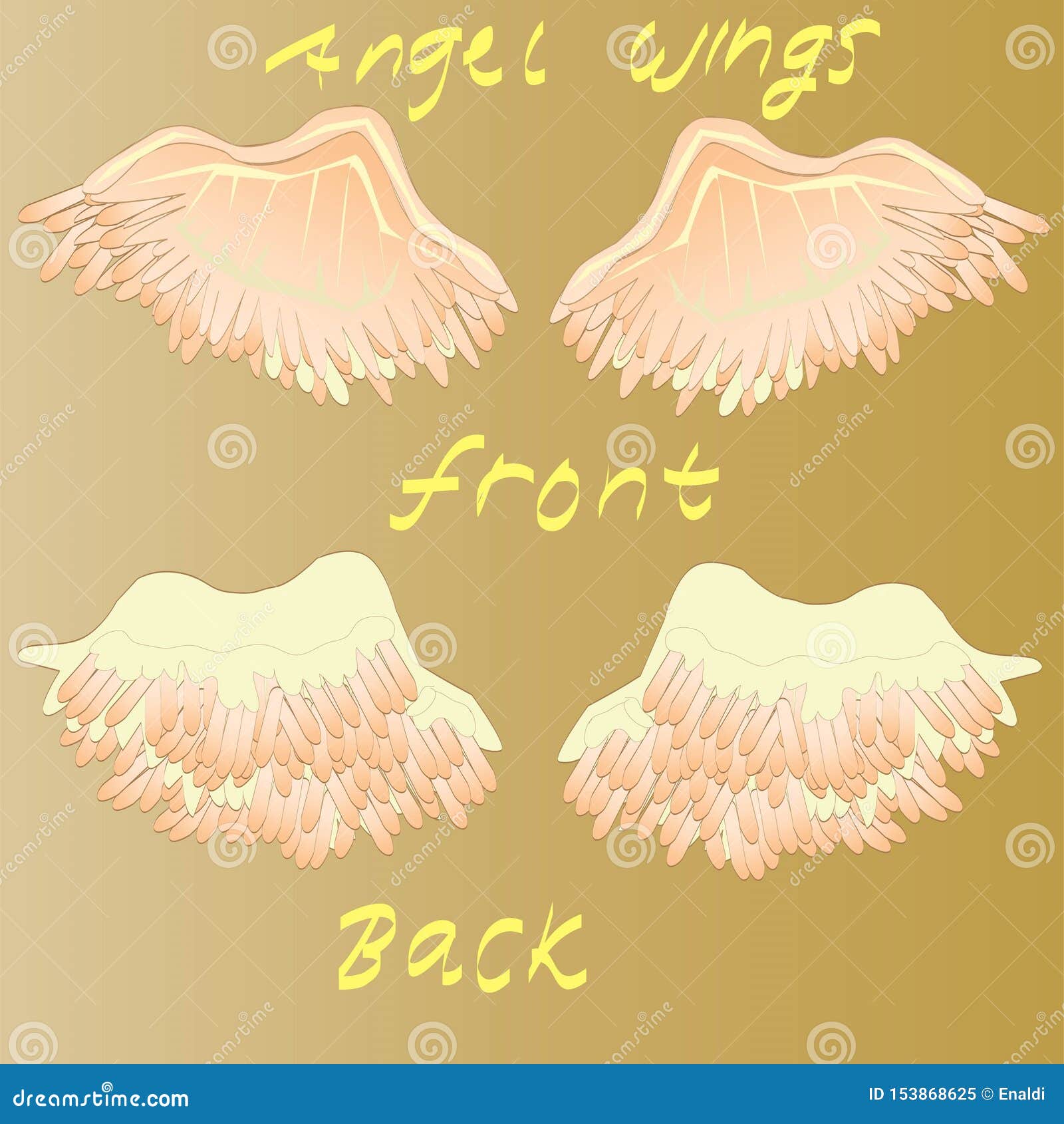 Beautiful Angel Wings Design Set Stock Vector - Illustration of ...