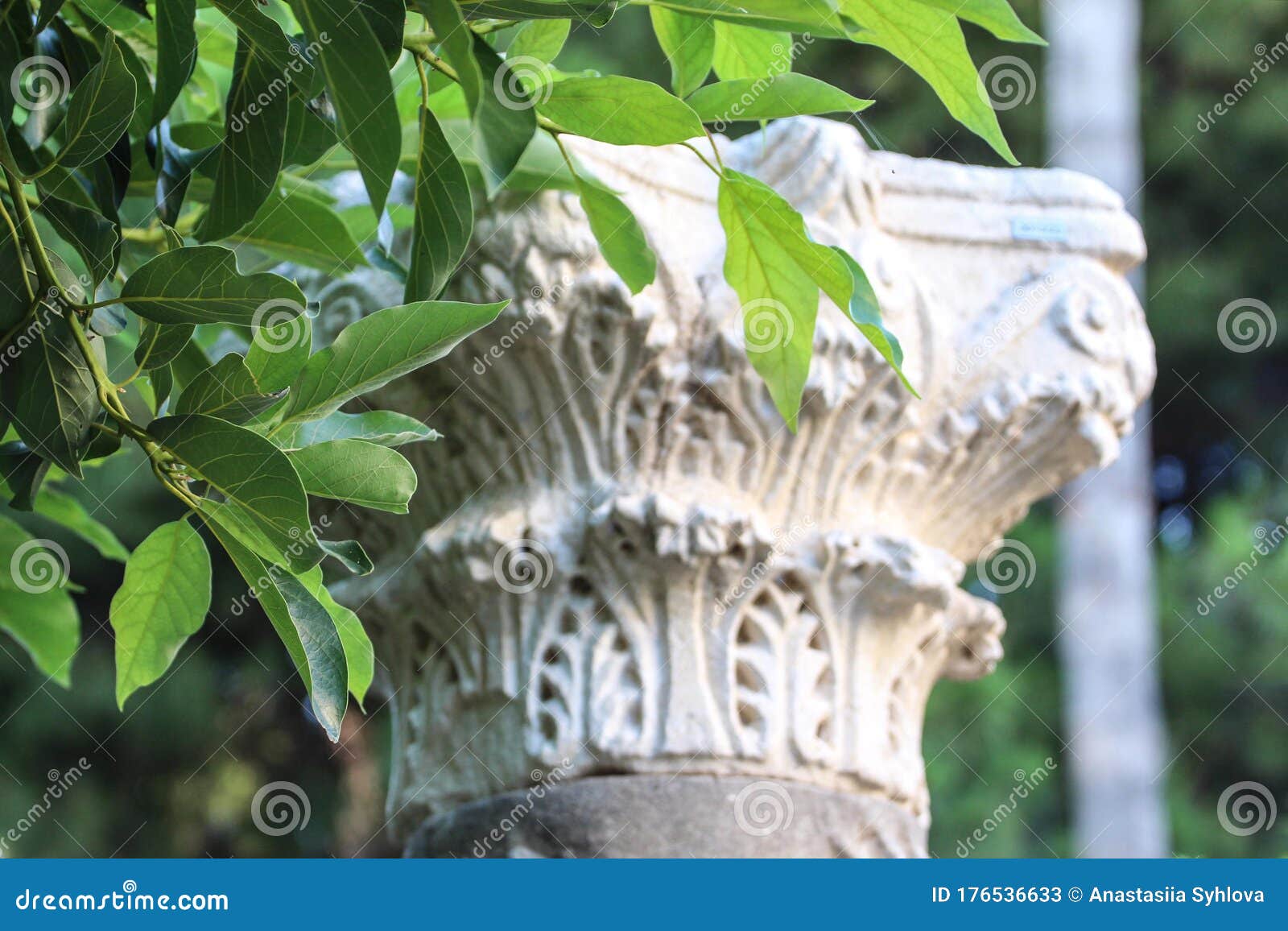 Composite Order Of Greek Style Columns Stock Image | CartoonDealer.com ...