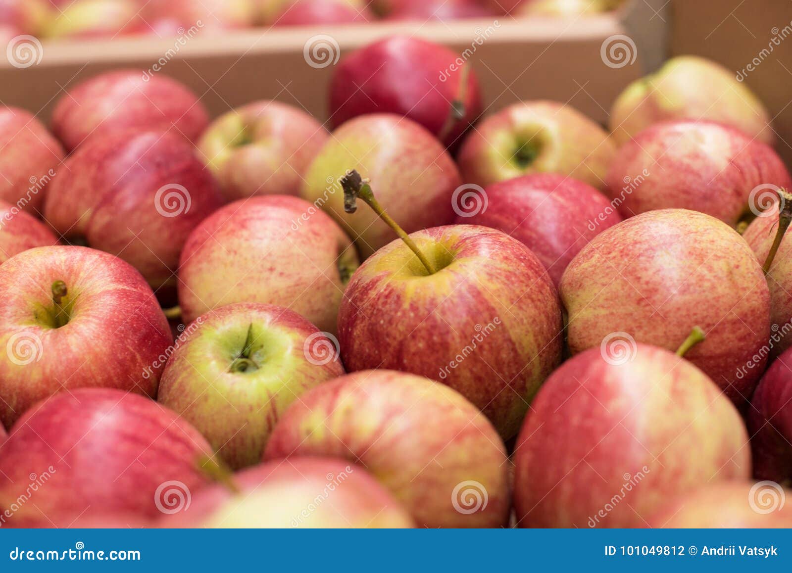 Beautiful Appetizing Fruit Red Background with Red Apples in a C Stock ...