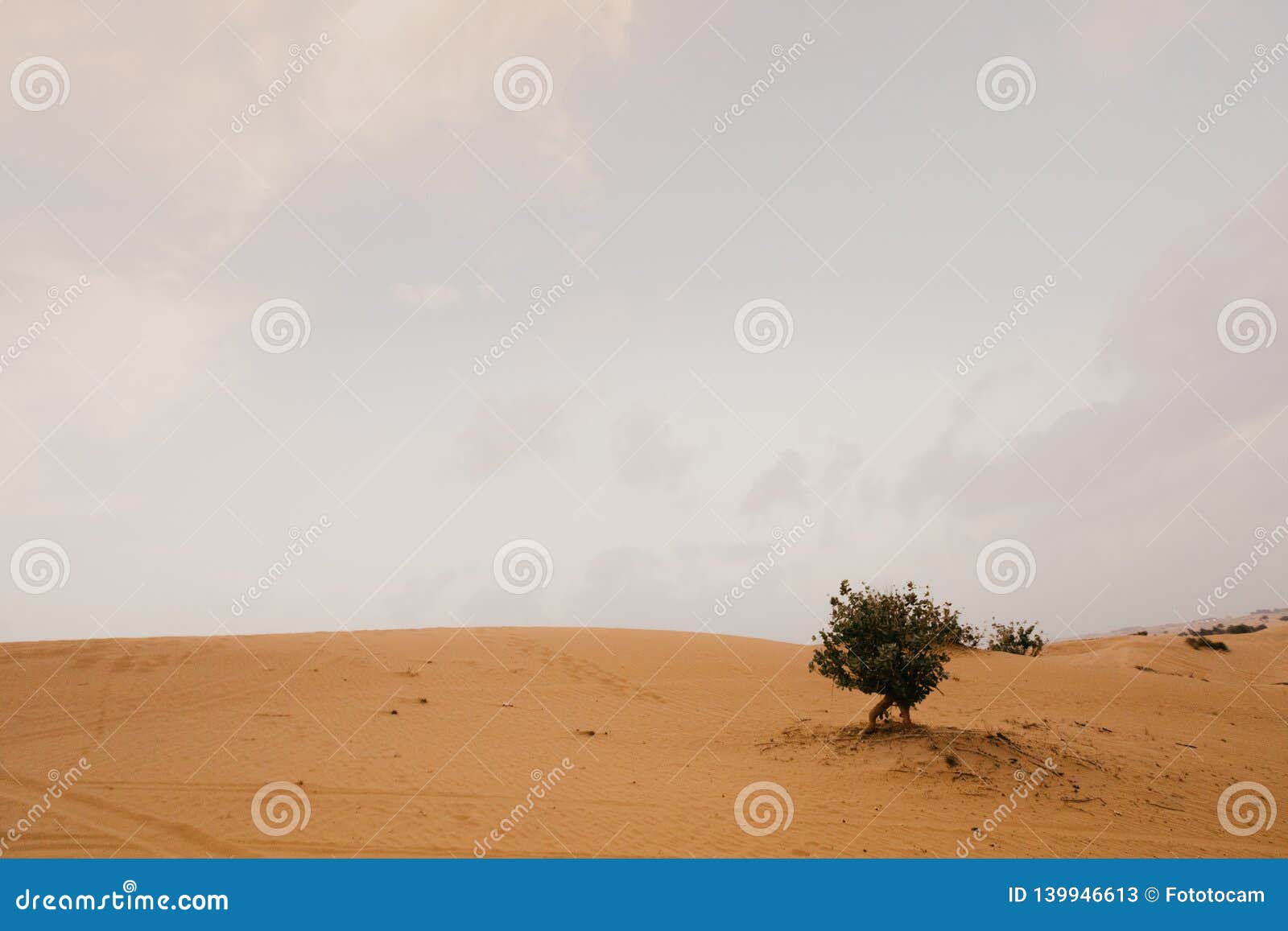 Beautiful Arabian Desert Landscape Stock Image - Image of extreme ...
