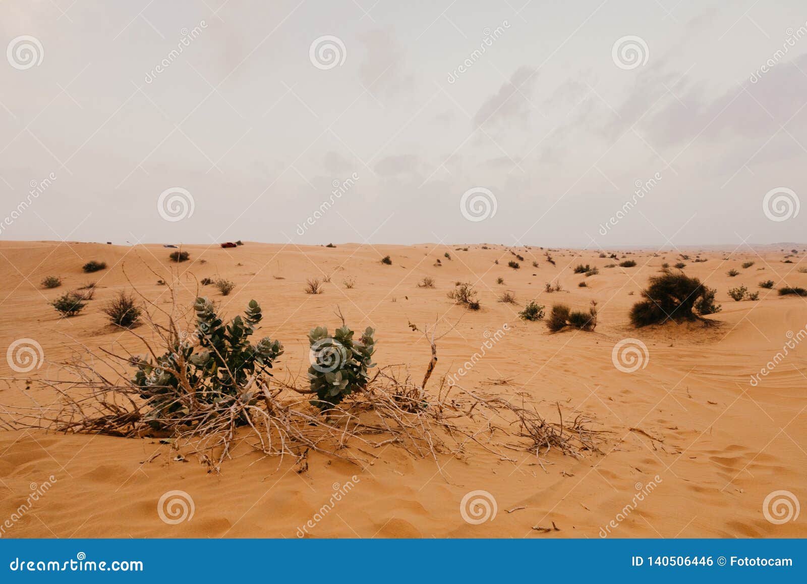 Beautiful Arabian Desert Landscape Stock Photo - Image of arabic ...