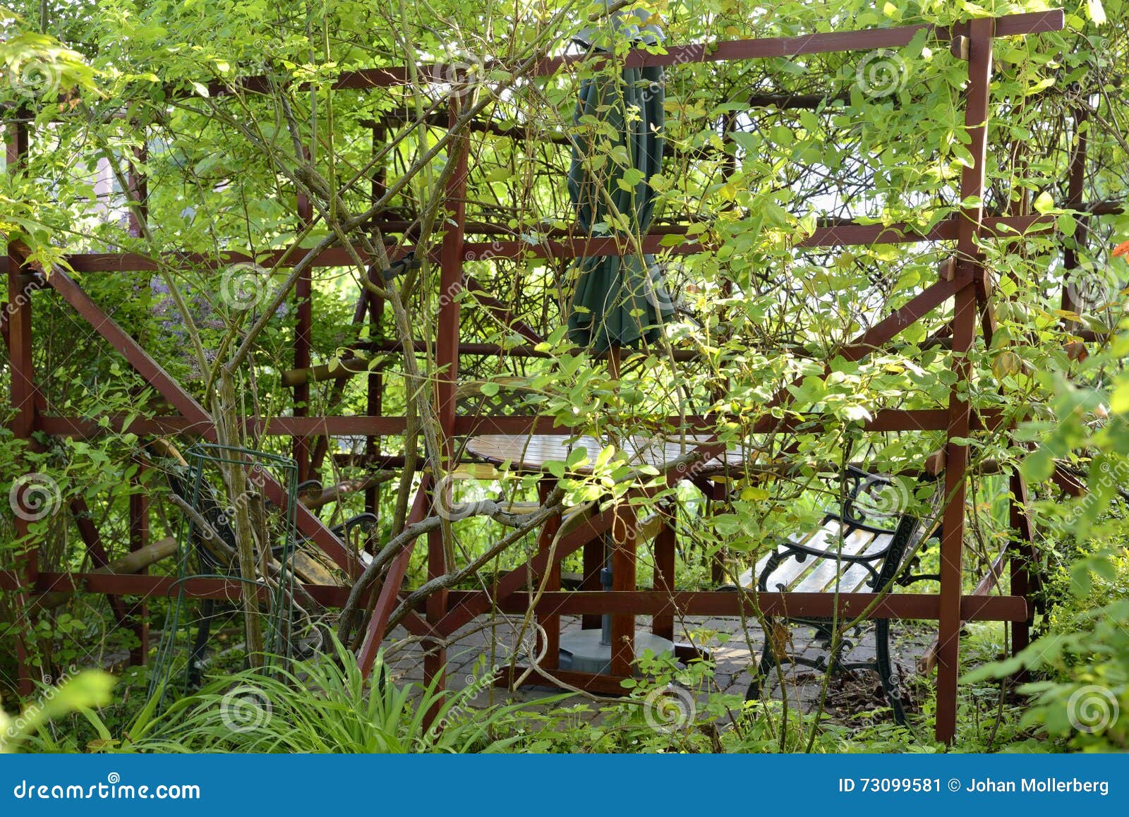 Beautiful arbor stock image. Image of bush, beautiful - 73099581