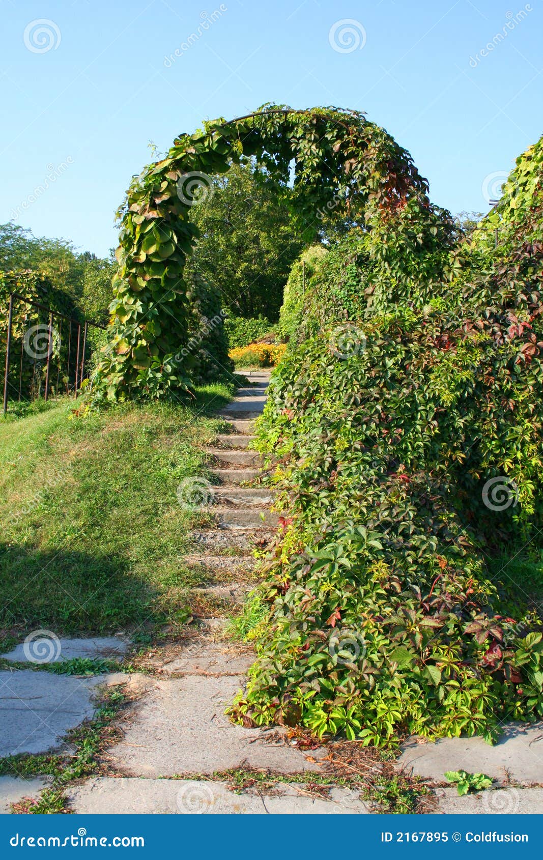 Beautiful arc stock image. Image of flora, nature, foliage - 2167895