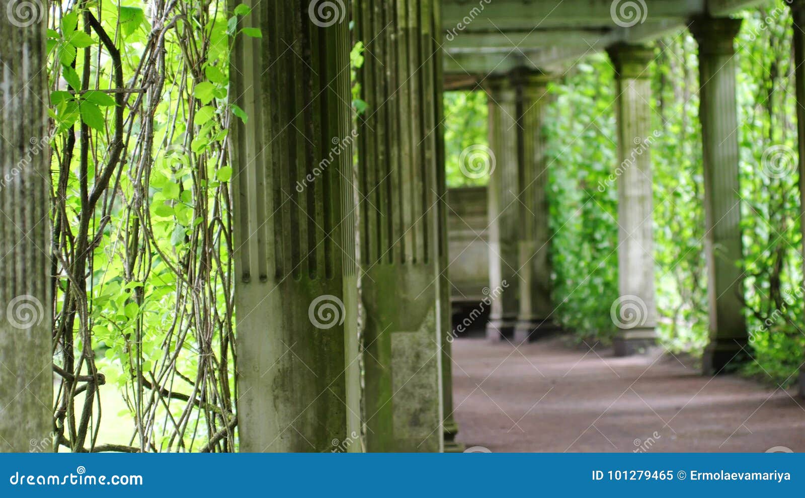 Beautiful Architectural Colonnade in Catherine Park Stock Image - Image ...