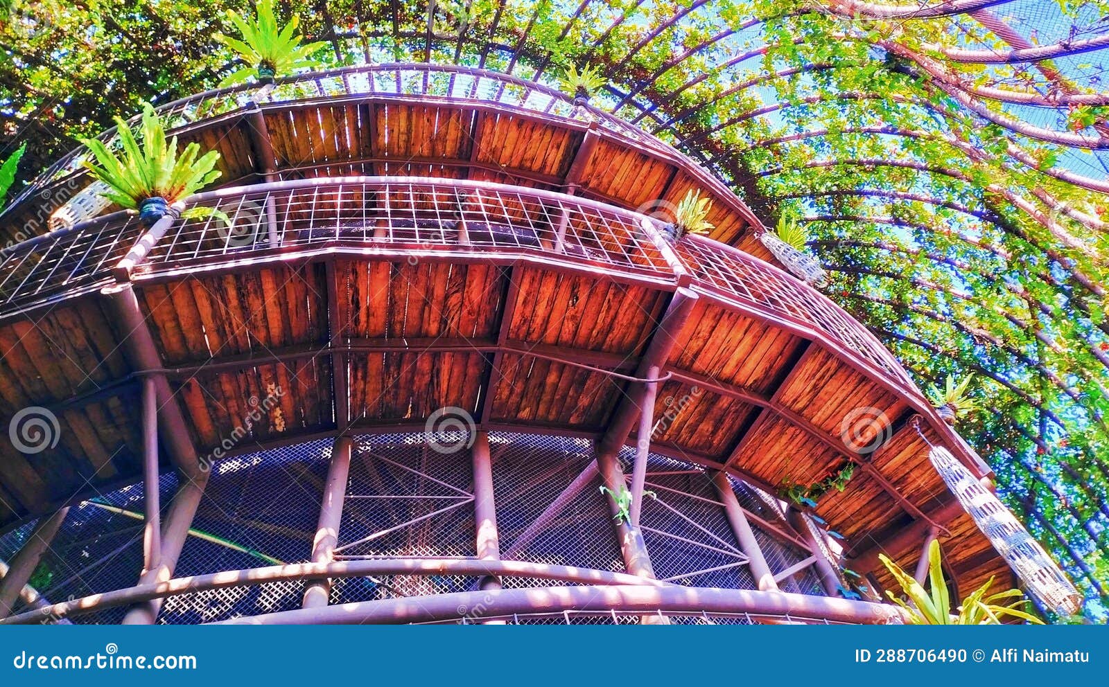 Beautiful Architecture of Buildings with Vines Stock Photo - Image of ...