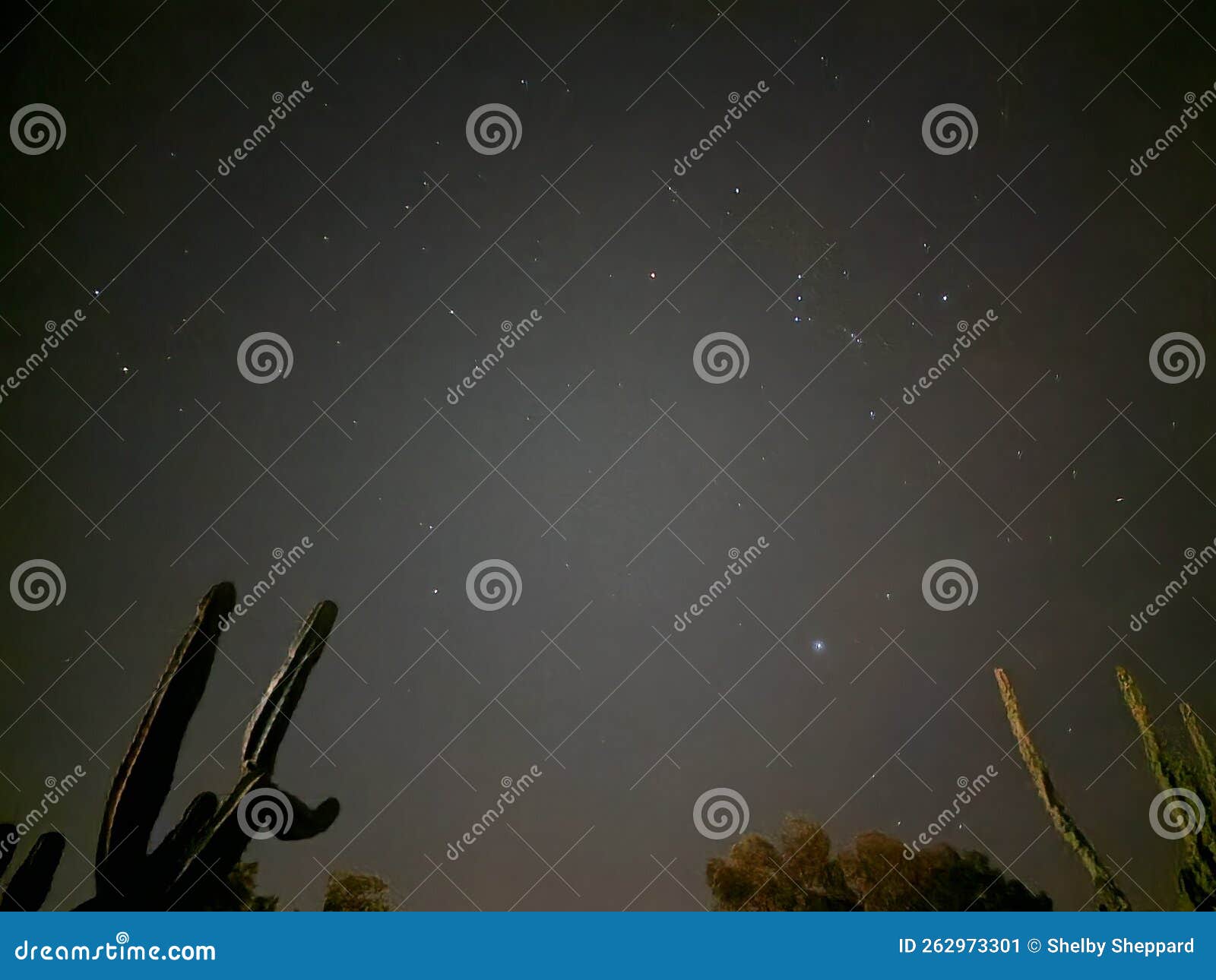 The Beautiful Arizona Night Sky Stock Image - Image of wall, midnight ...