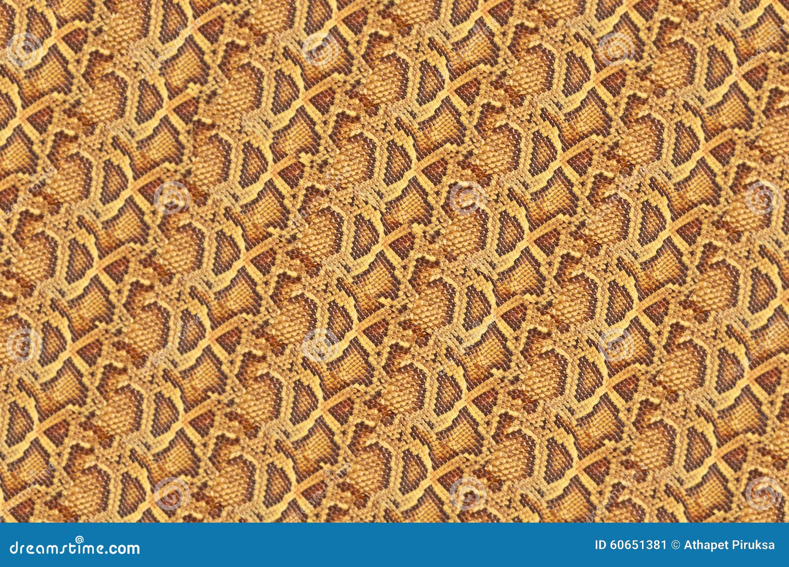 Beautiful Art of Patten on Boa Skin Stock Image - Image of color ...