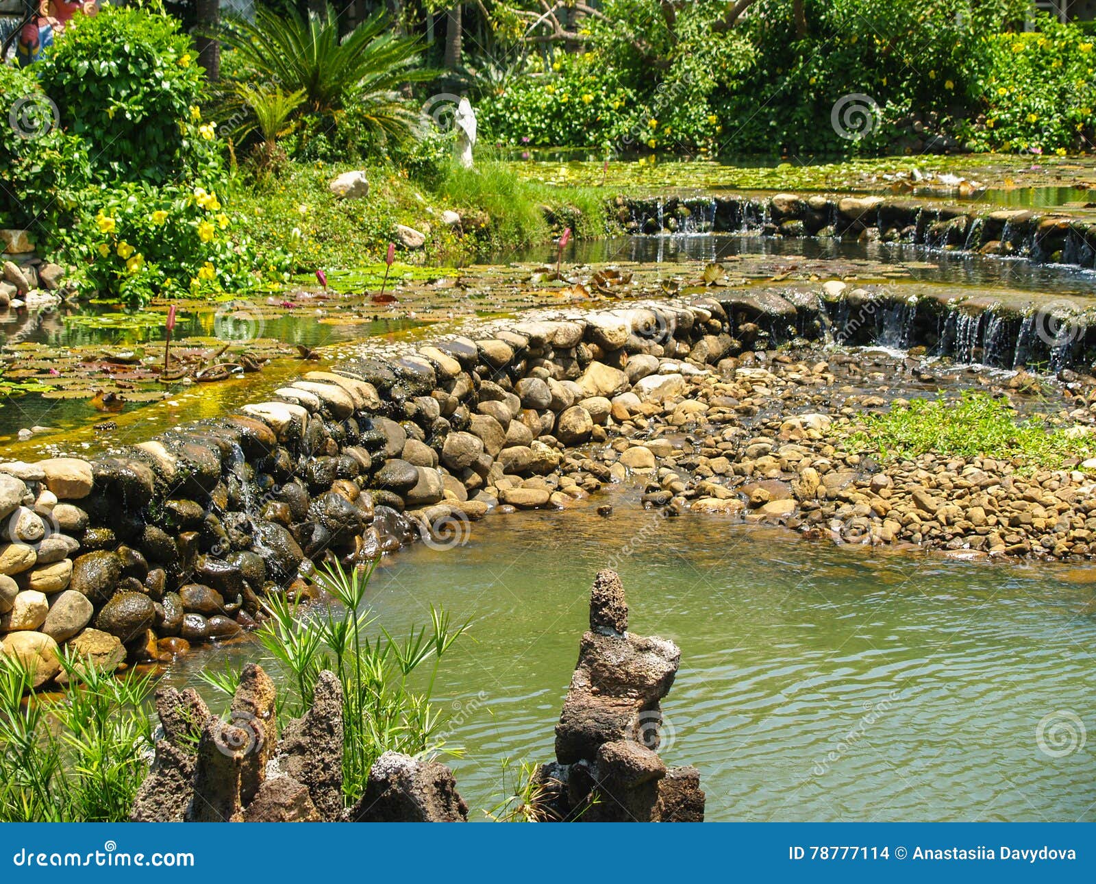 Beautiful Artificial Cascade Lake Stock Photo - Image of aquatic ...