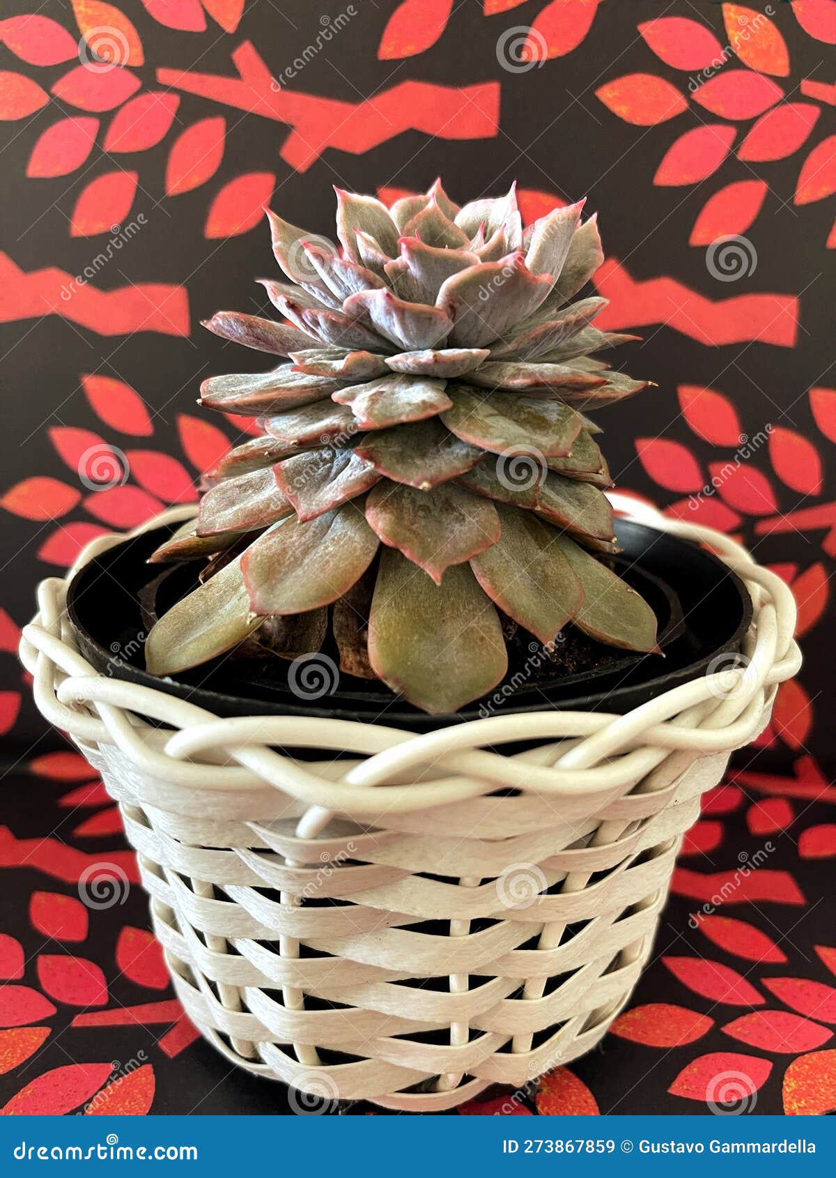 A Beautiful Flower Vase for Decoration of Various Home Environments ...