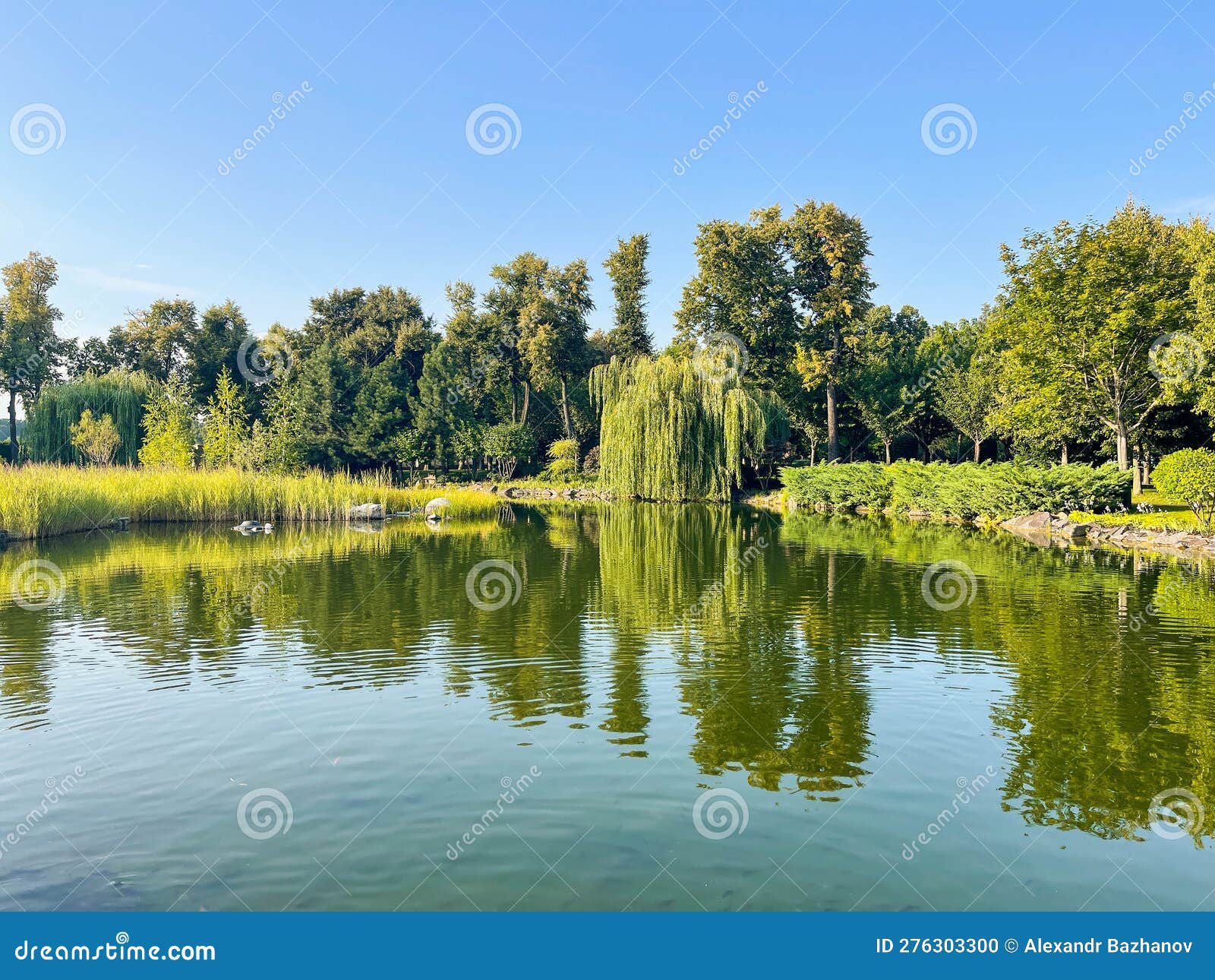 Beautiful Artificial Lake in the Park Stock Photo - Image of artificial ...