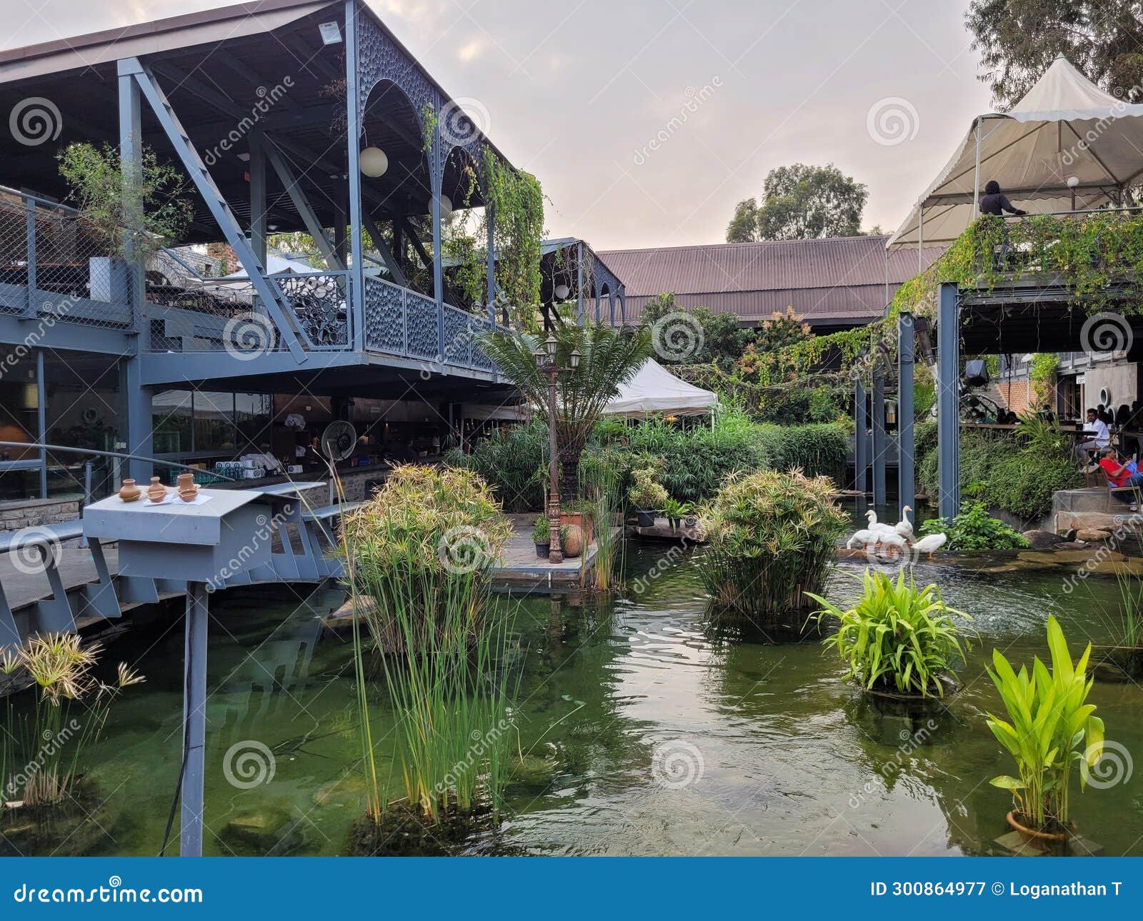 Beautiful Artificial Pond with Ducks Plants Stock Image - Image of ...