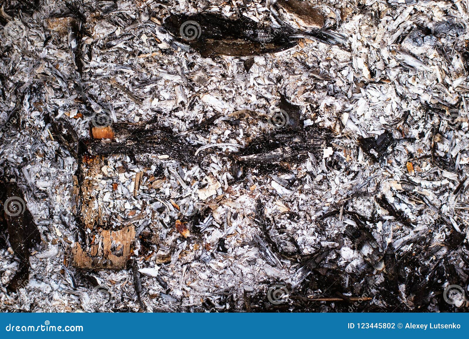 Beautiful Ash Background for Design Stock Photo - Image of grey, light ...