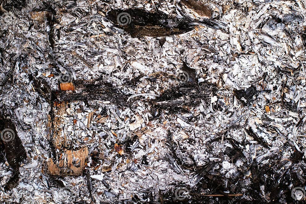 Beautiful Ash Background for Design Stock Photo - Image of grey, light ...