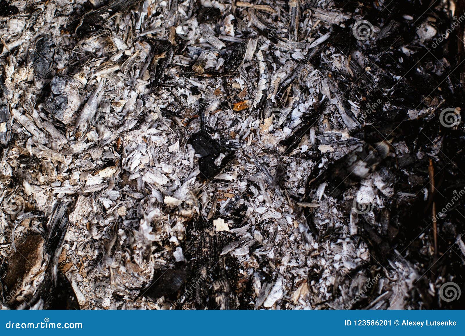 Beautiful Ash Background for Design Stock Image - Image of color ...