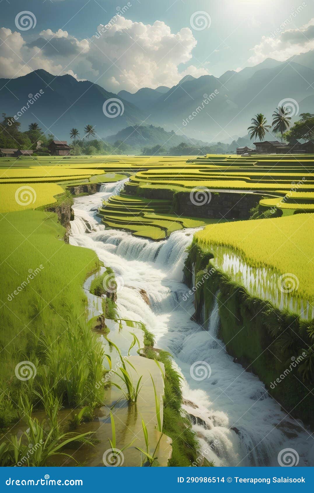 A Beautiful Asian Rice Field with Mountain Background Stock ...