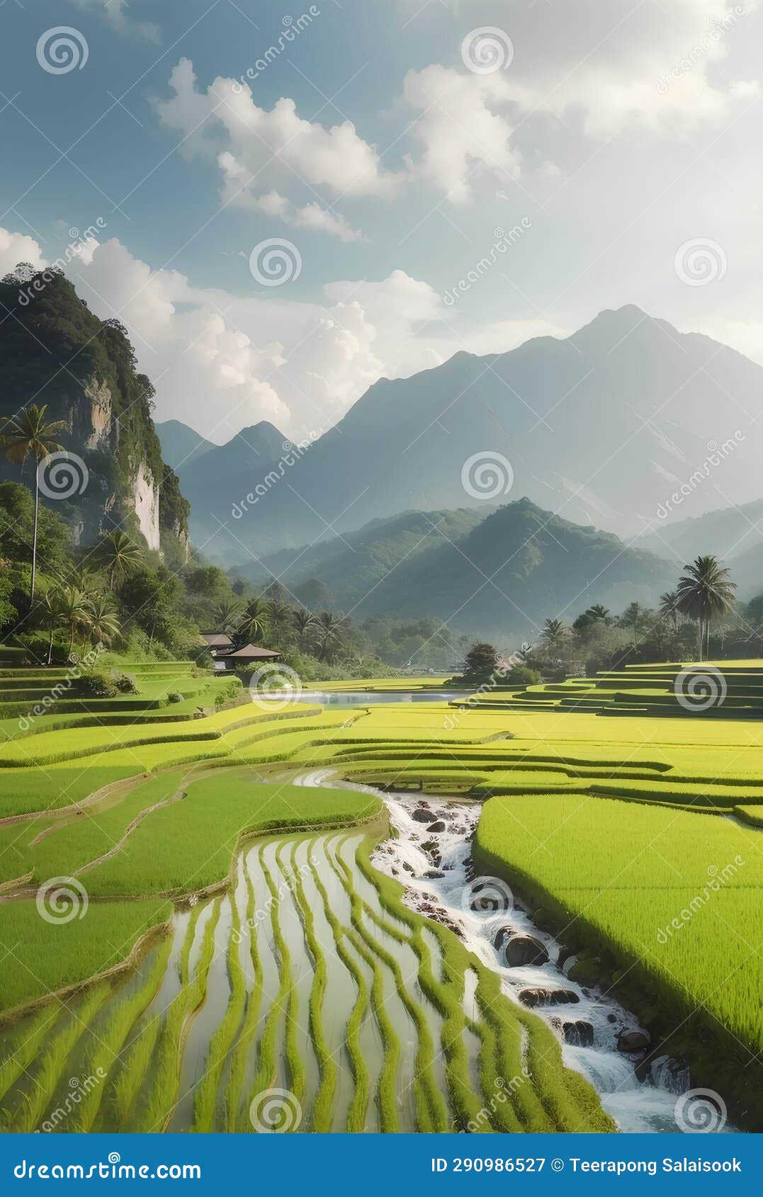 A Beautiful Asian Rice Field with Mountain Background Stock ...