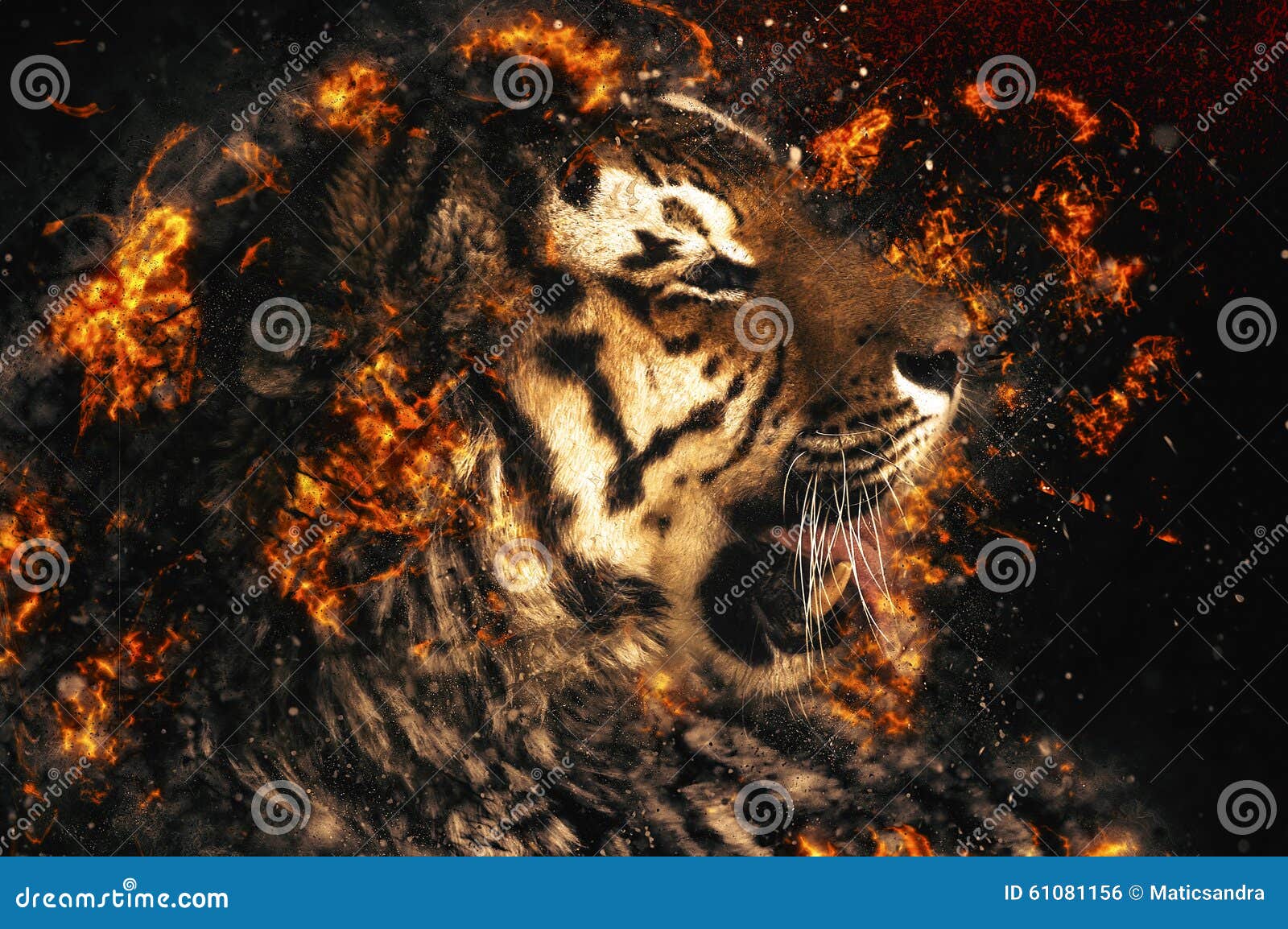 Asian Tiger Or Kitty For Vintage T-shirt. Wild Animal Predator For ...