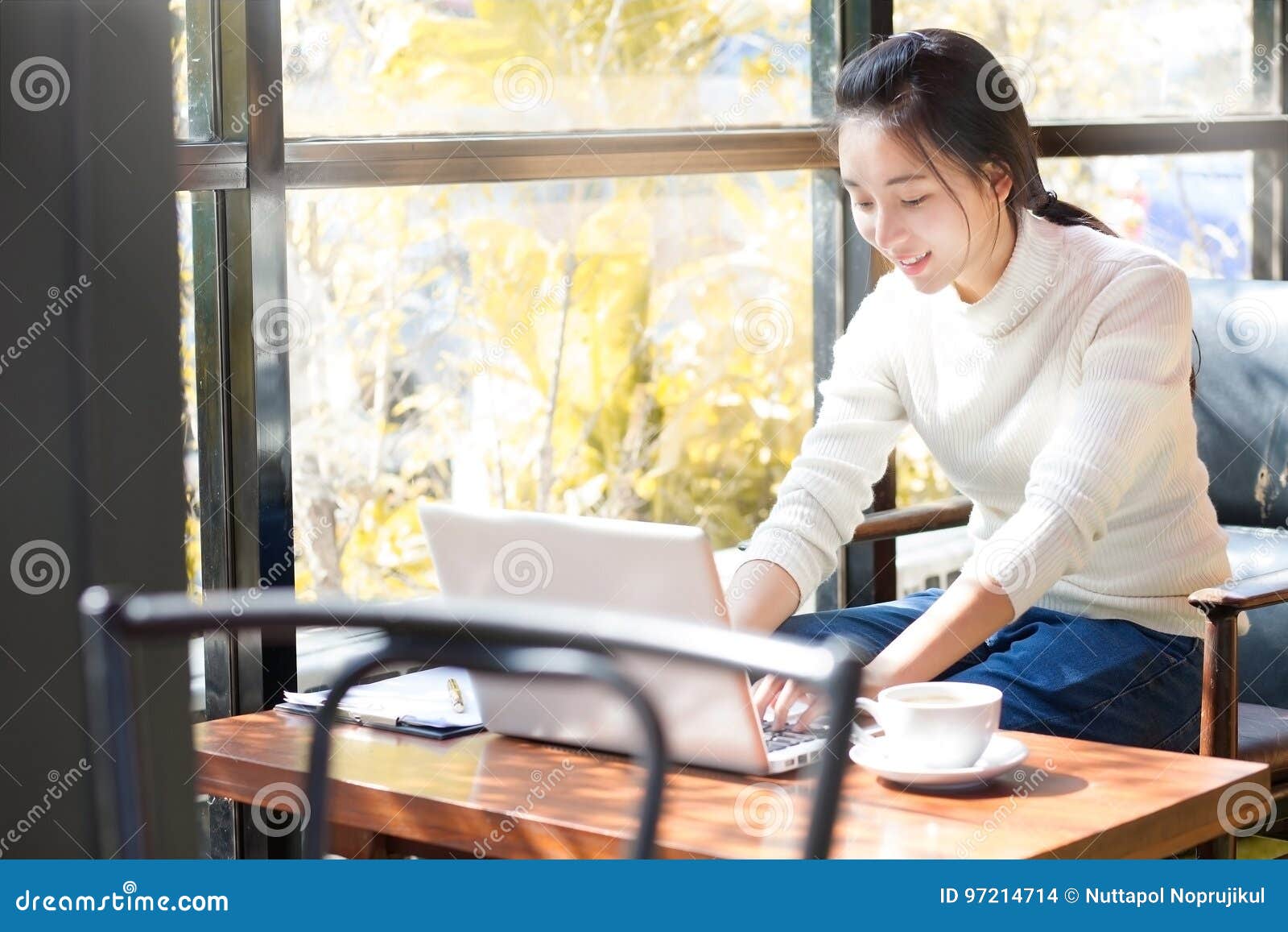 Beautiful Asian Woman Using Laptop Computer in the Home. Stock Photo ...