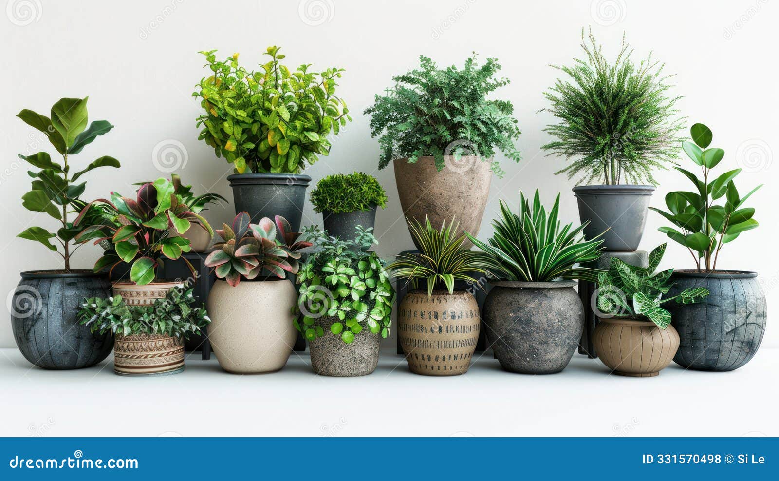 Beautiful Assortment of Potted Plants on Transparent Background ...
