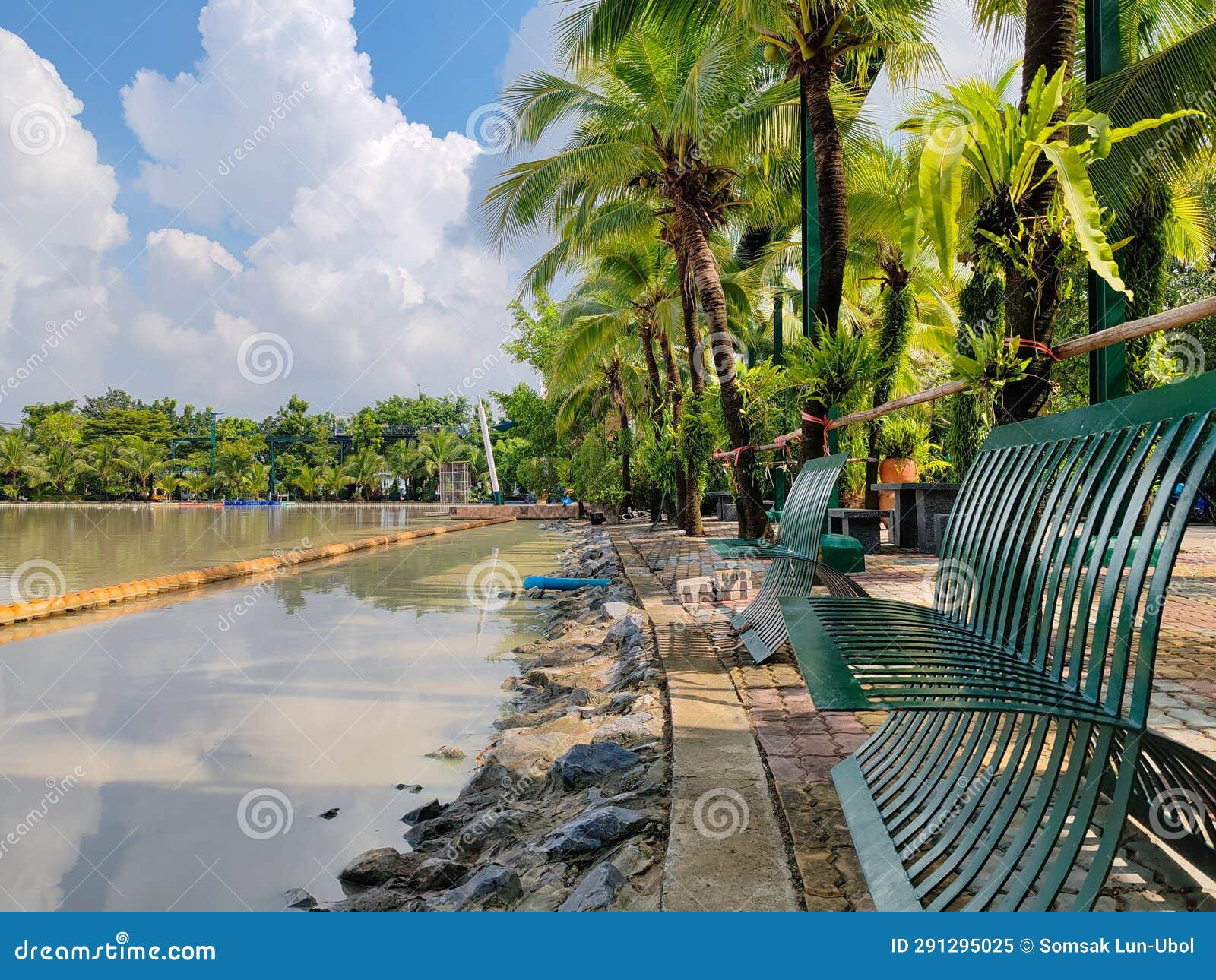 Beautiful Atmosphere in the Park with a Blue Sky Stock Image - Image of ...