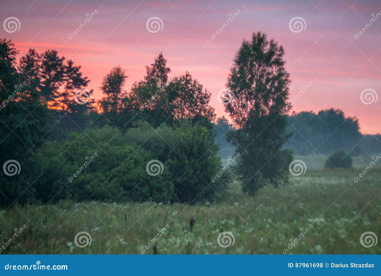 Beautiful August Nature in Lithuania Stock Photo - Image of wallpaper ...