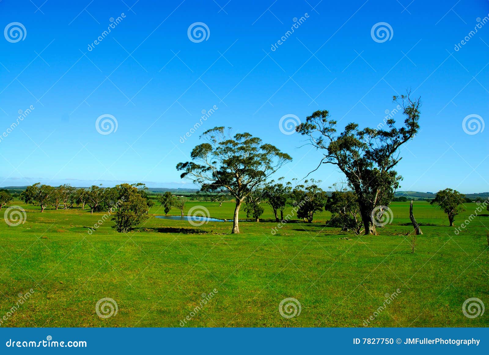 Beautiful Australian Countryside. Stock Photo - Image of pasture ...