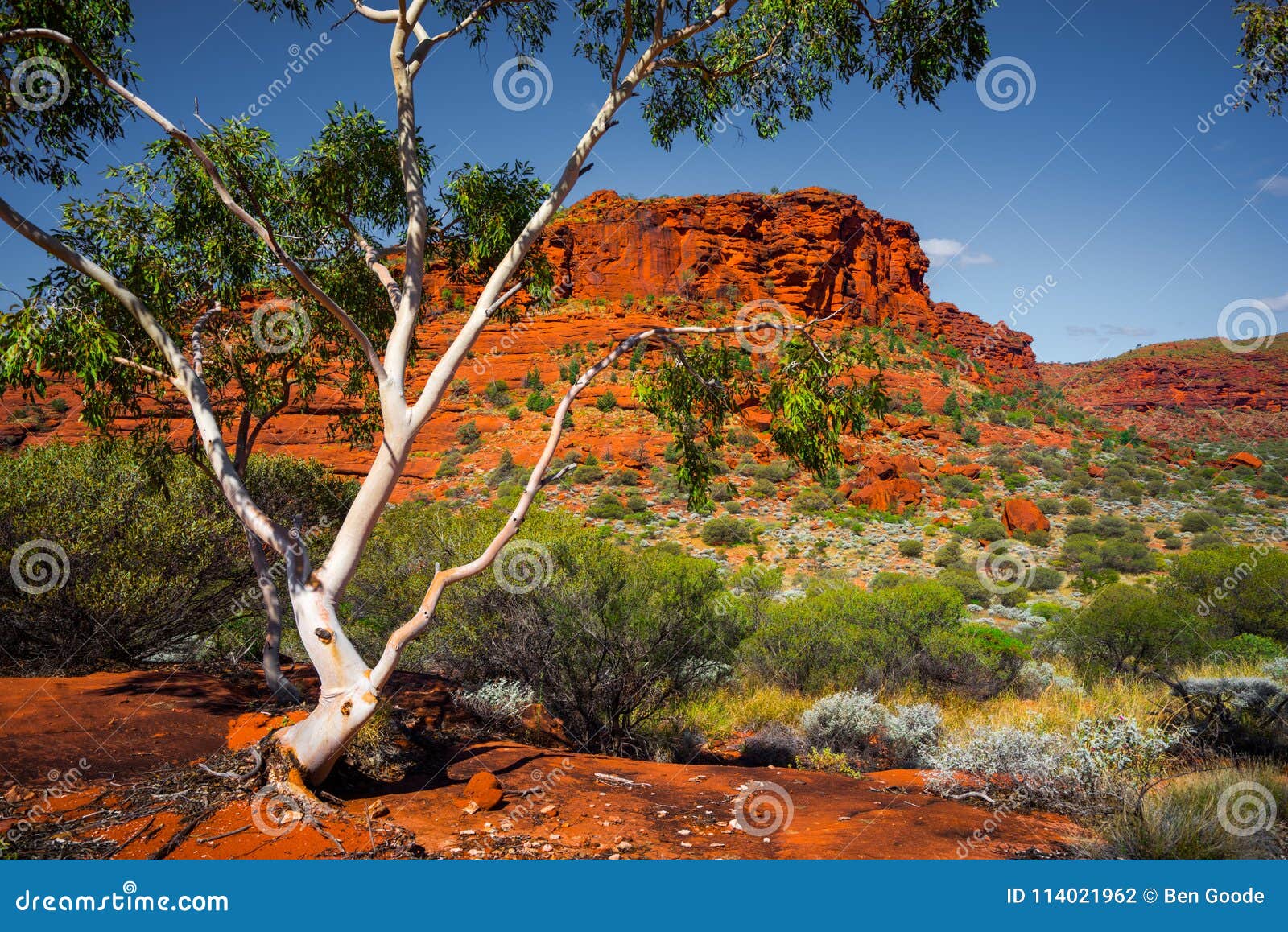 Aussie Outback stock photo. Image of summer, australian - 114021962