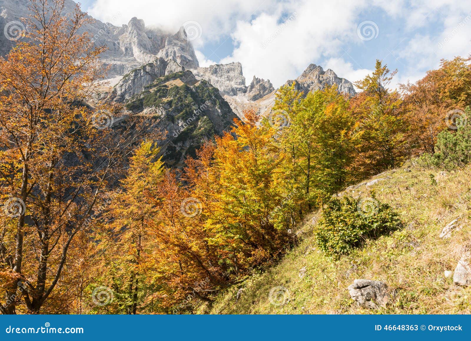 Beautiful Autumn in the Bavarian Alps Stock Image - Image of golden ...