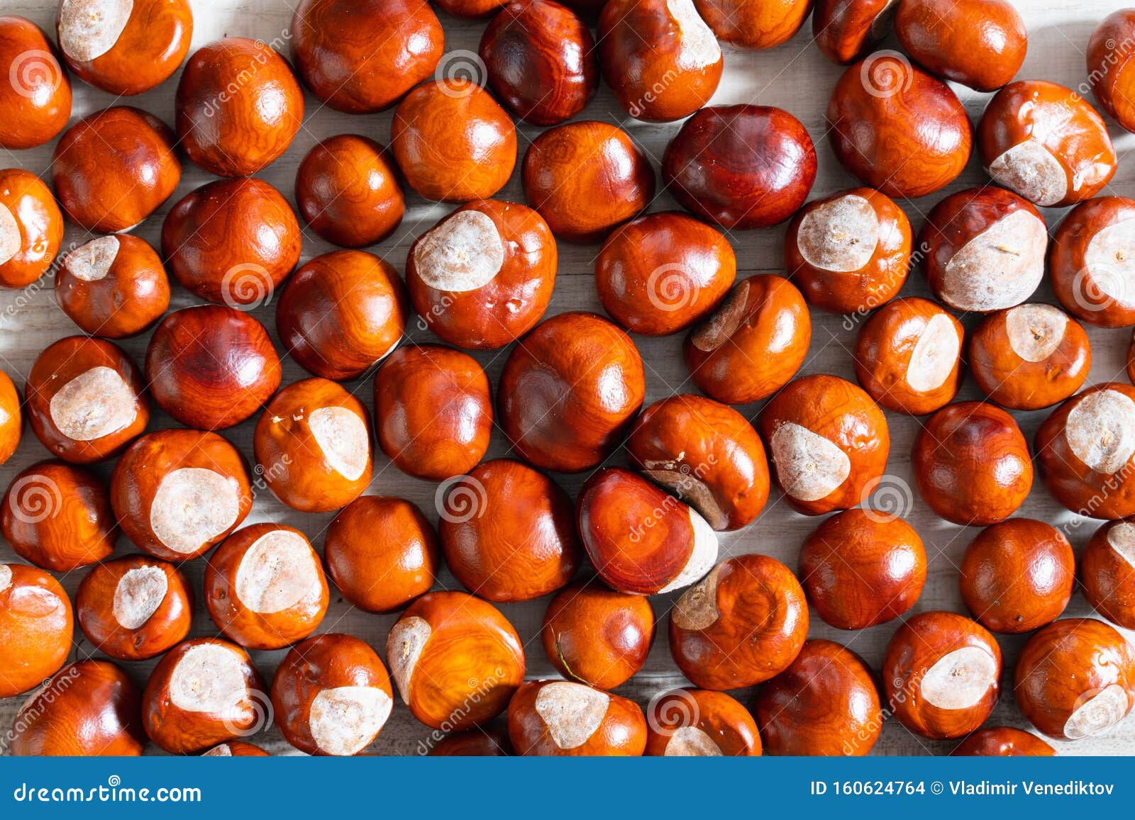 Beautiful Autumn Chestnut Kernel Background Close Up Top View Stock ...