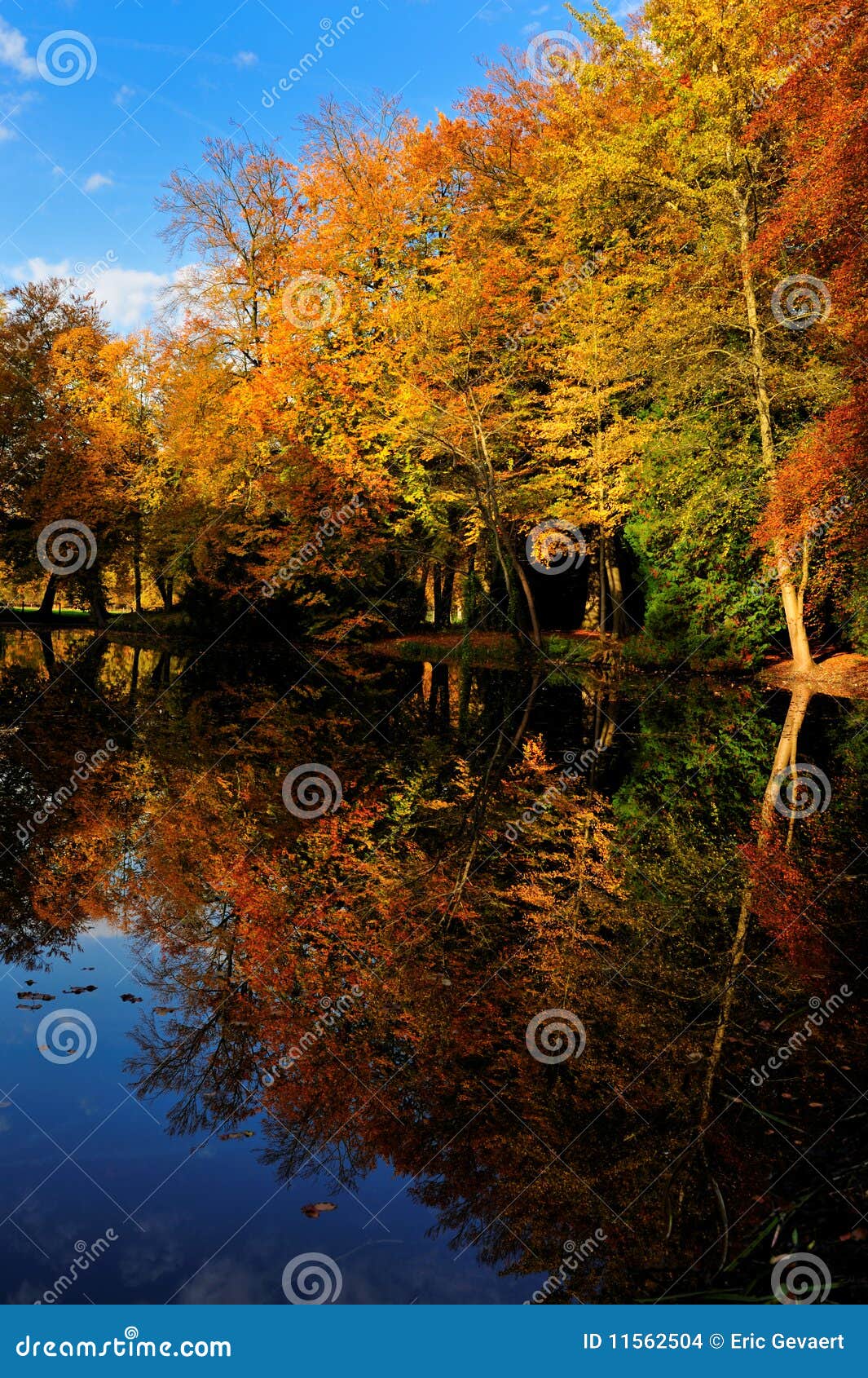Beautiful autumn colors stock photo. Image of colorful - 11562504